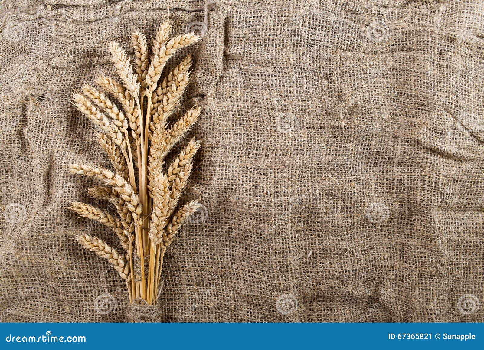 Wheat on Old Grey Rustic Textile Background Stock Image - Image of ...