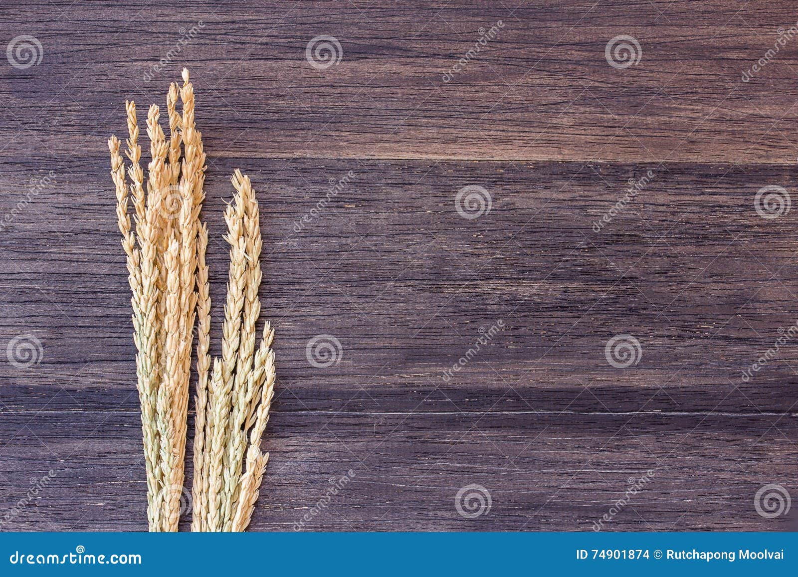 Wheat on the Old Wooden Table Stock Photo - Image of agriculture, bread ...