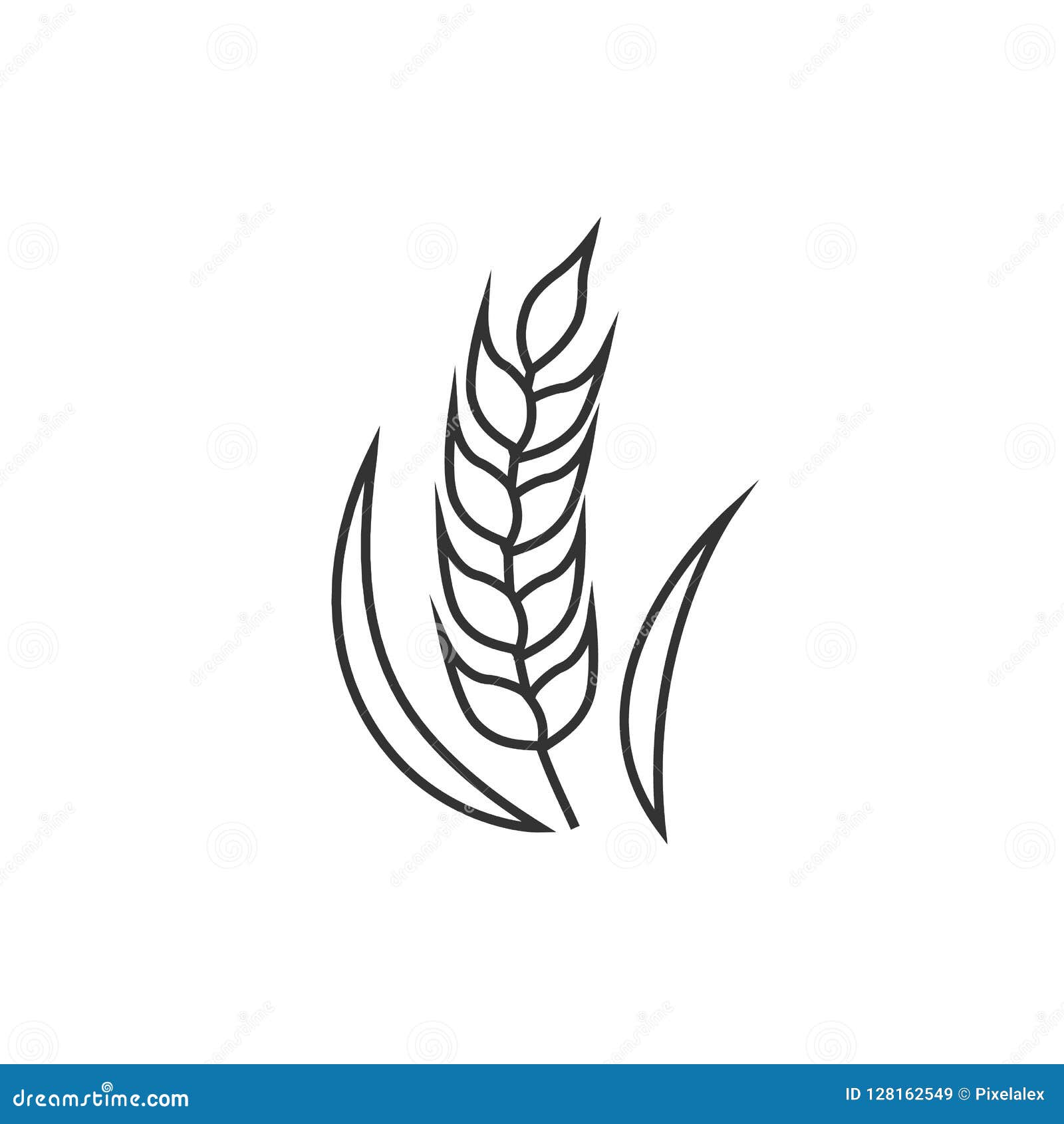 Wheat outline icon stock vector. Illustration of grain - 128162549