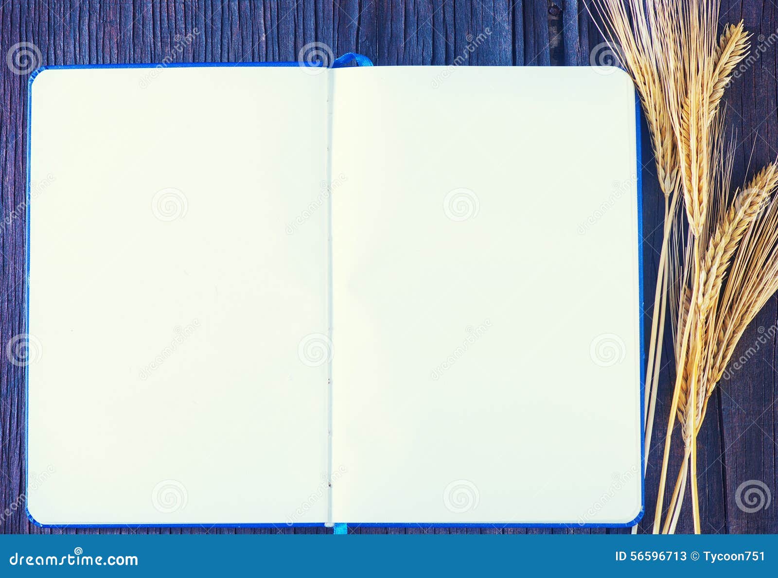 Wheat and paper stock image. Image of cereal, eating - 56596713