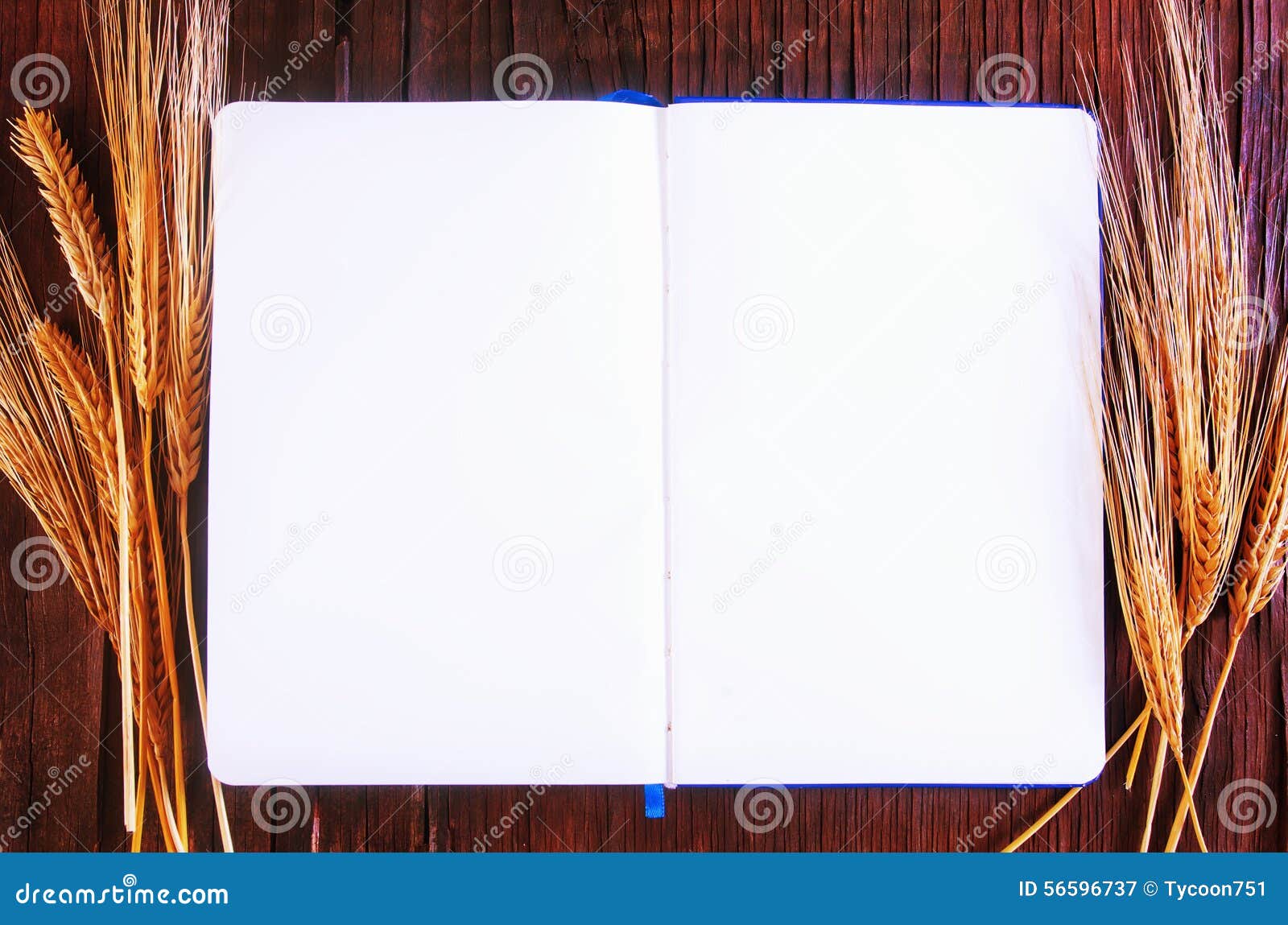 Wheat and paper stock image. Image of board, barley, healthy - 56596737