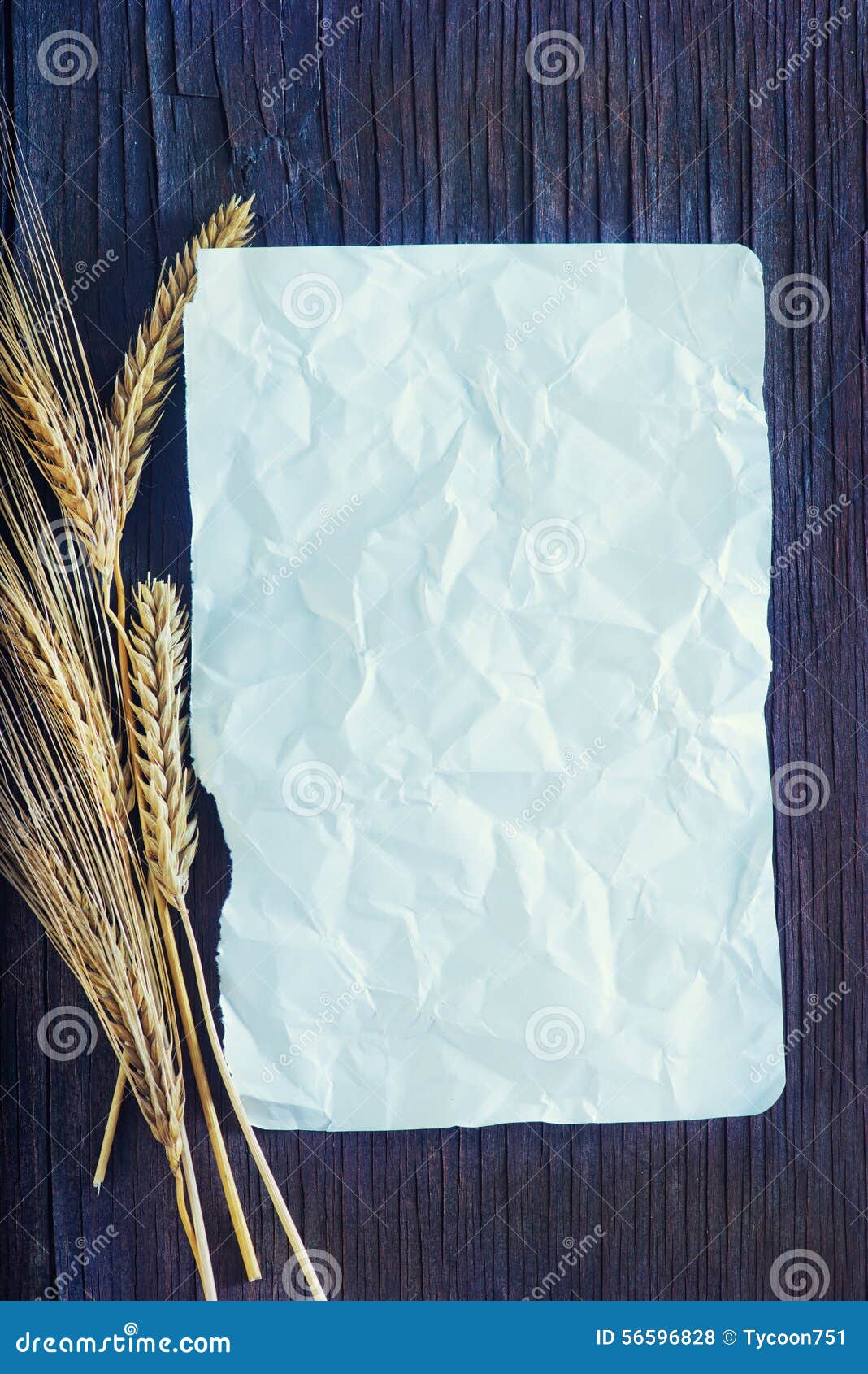 Wheat and paper stock photo. Image of design, cardboard - 56596828