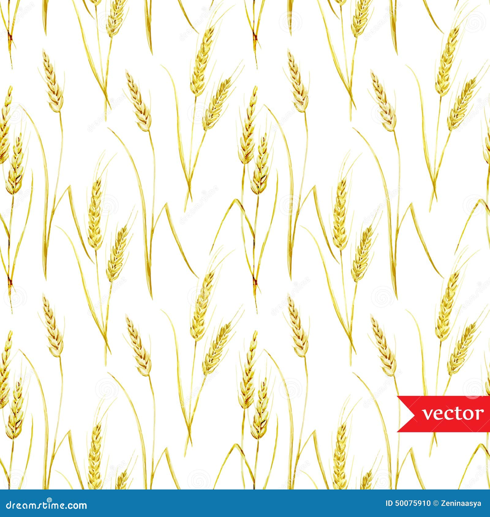 Wheat pattern stock vector. Illustration of elegant, beauty - 50075910