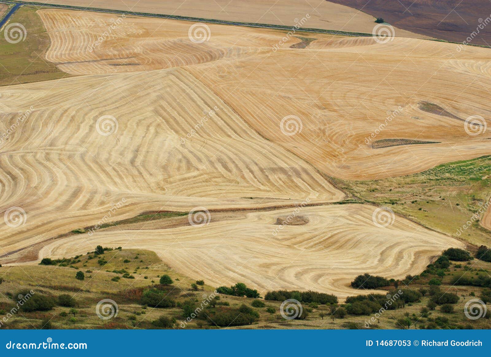 Wheat Patterns, Palouse, Washington Stock Image - Image of palouse ...