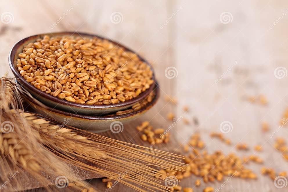 Wheat in plate. stock image. Image of grain, eating, dish - 62900875