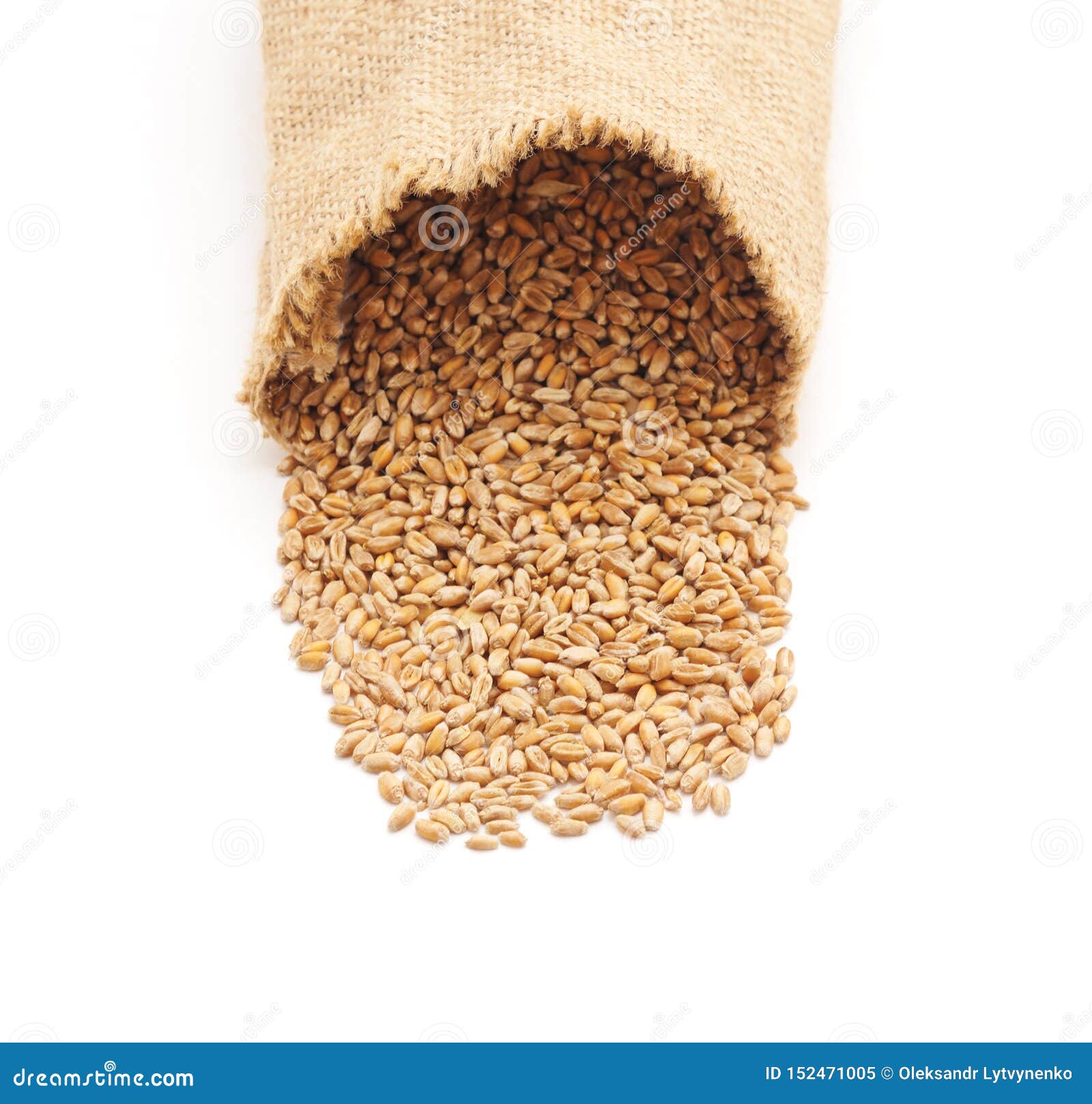 Wheat is Poured from the Sack Stock Image - Image of grain, dietary ...
