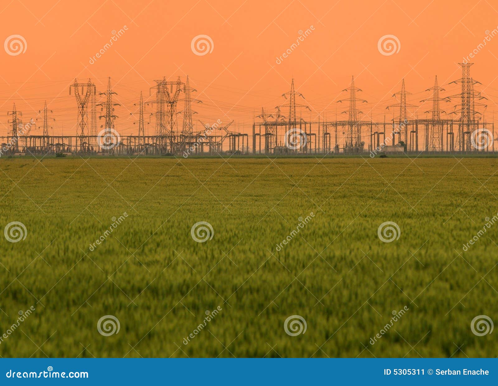 Wheat & power lines stock image. Image of farmland - 5305311