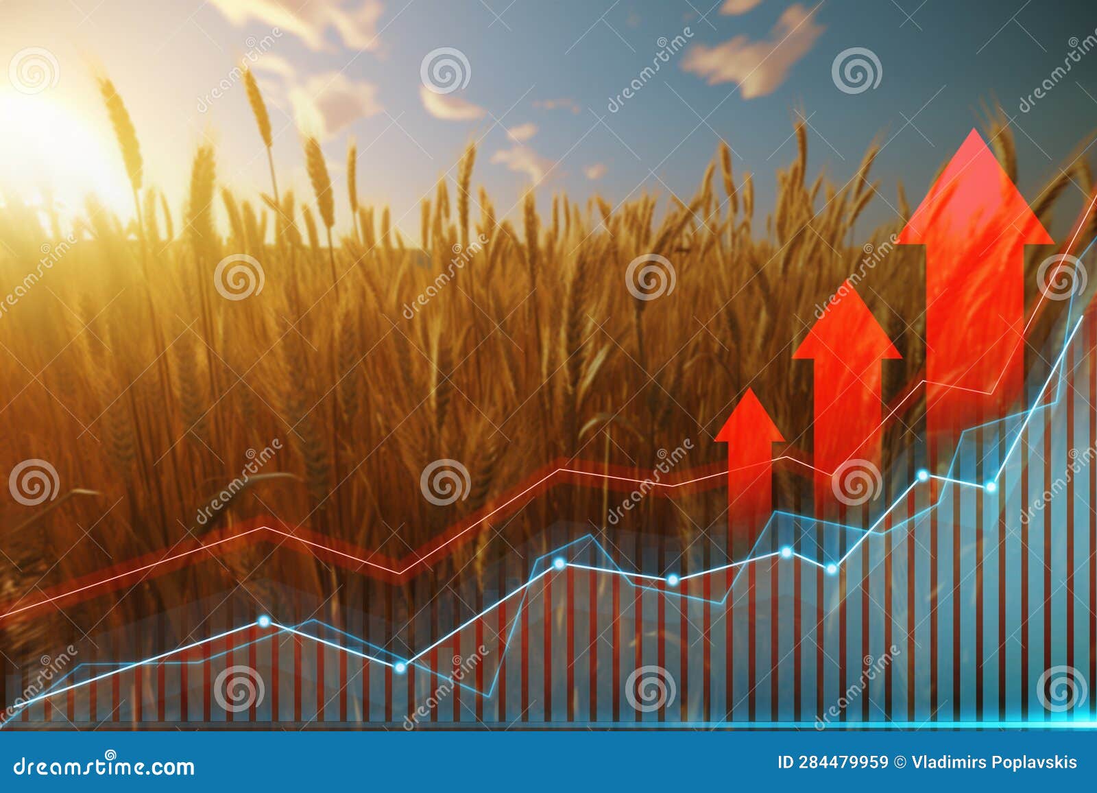 Wheat Price Increase and Diagram with Three Arrows Stock Image - Image ...