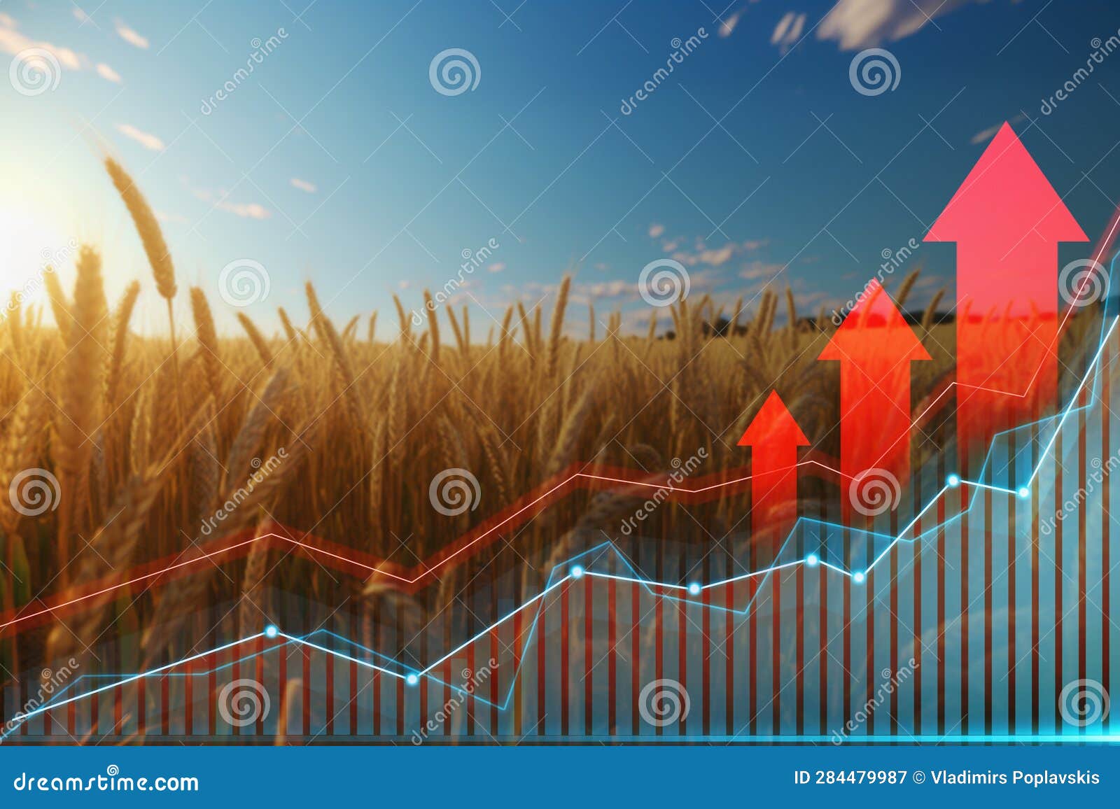 Wheat Price Increase and Diagram with Three Arrows Stock Image - Image ...