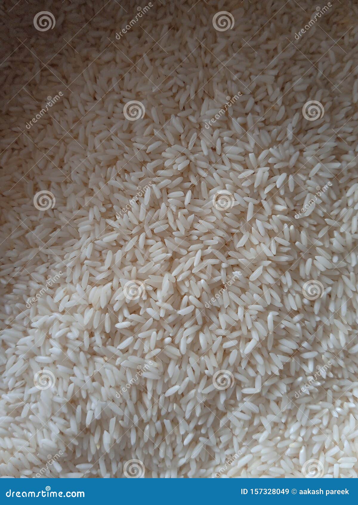 Wheat Rice Stock Images - Download 23,656 Royalty Free Photos