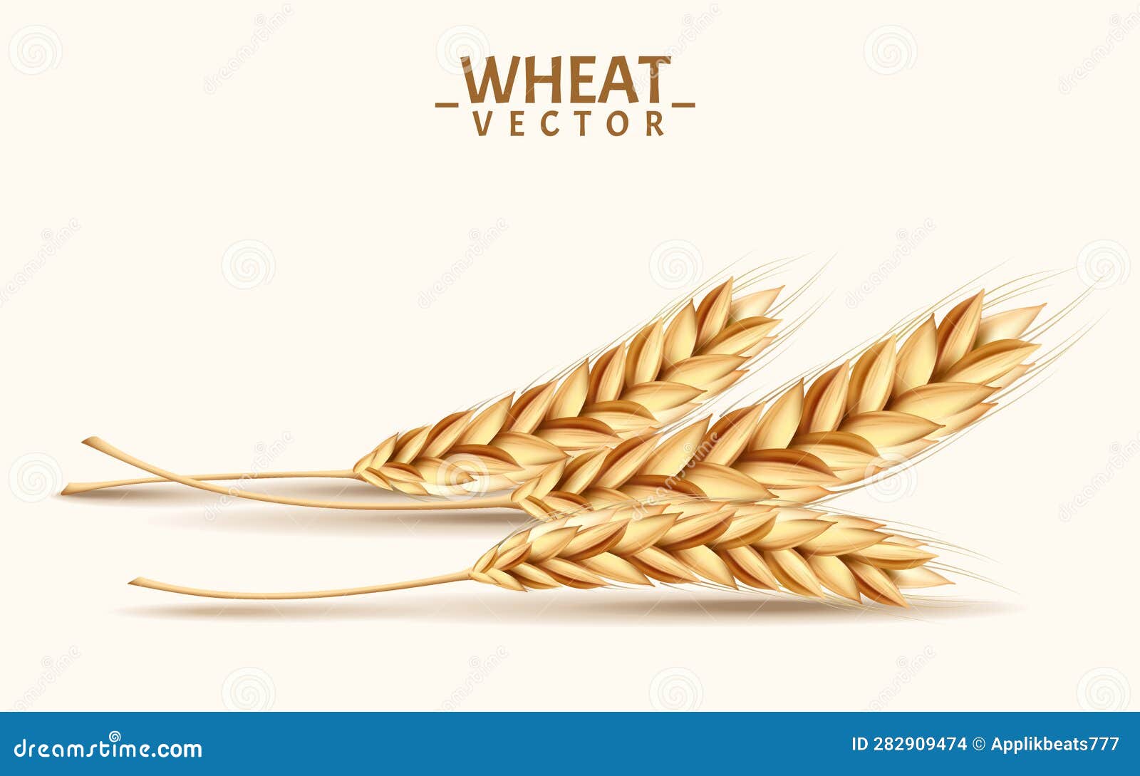 Wheat Realistic Illustration | CartoonDealer.com #207683148