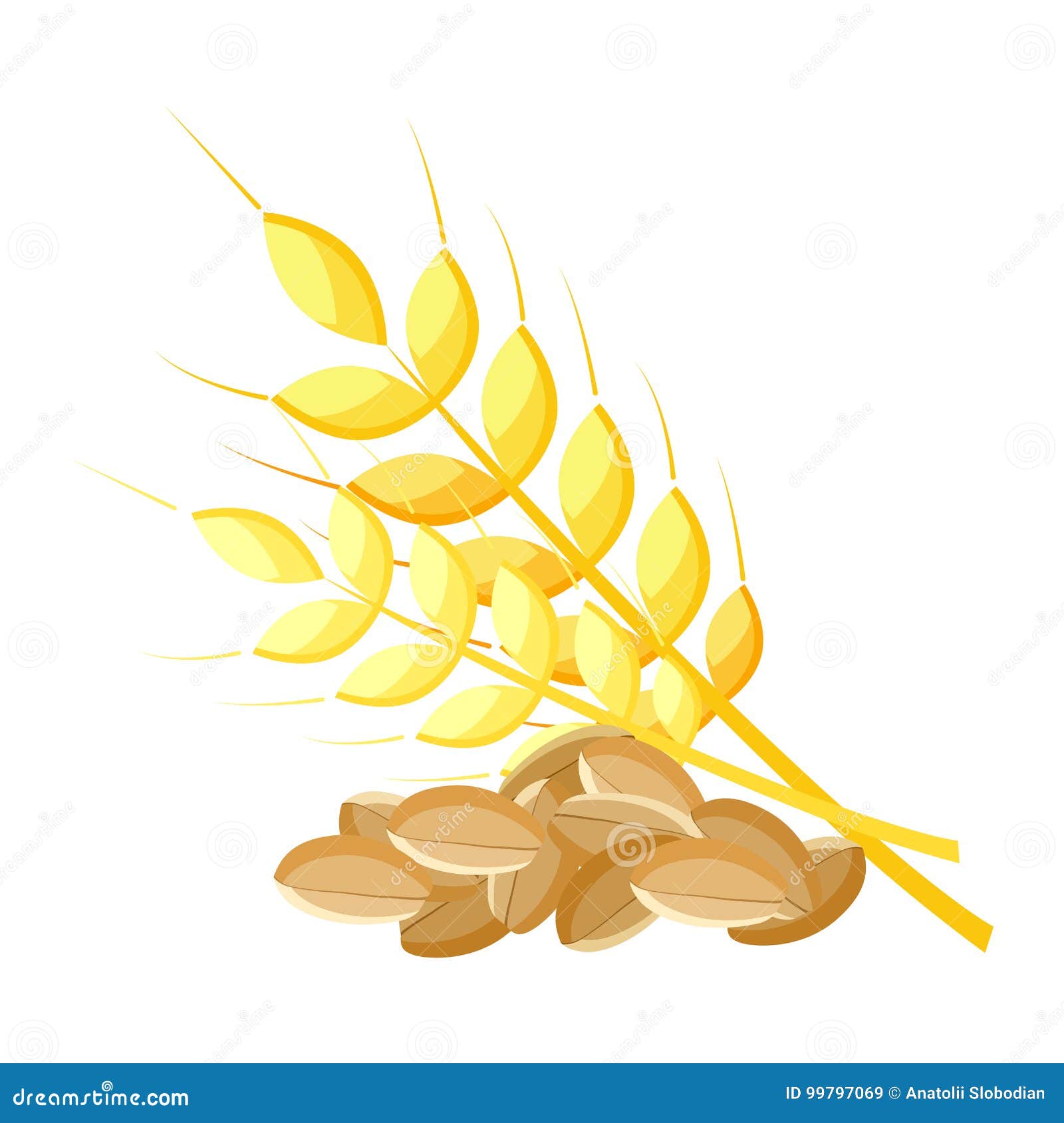 Wheat Realistic Illustration | CartoonDealer.com #207960220