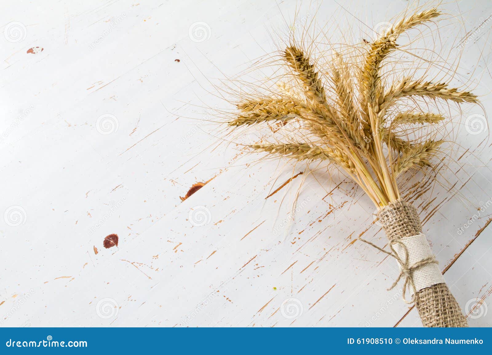 Wheat stock photo. Image of jewish, judaic, wood, shavuot - 61908510