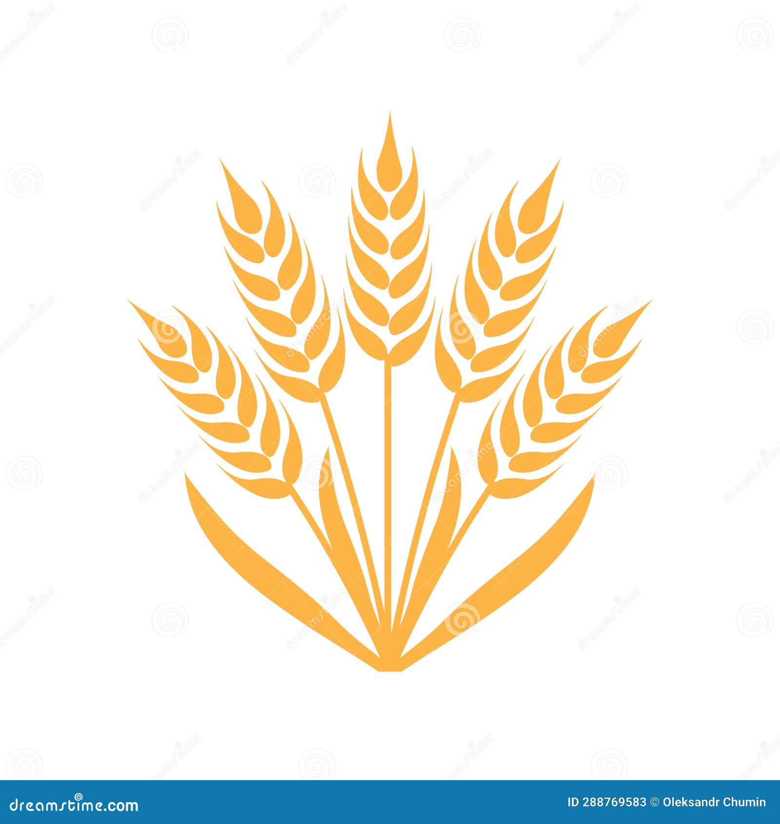 Wheat or Rye Ears with Grains. Bunch Barley Stalks Stock Vector ...