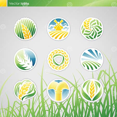 Wheat and Rye. Vector Logo Template Set Stock Vector - Illustration of ...