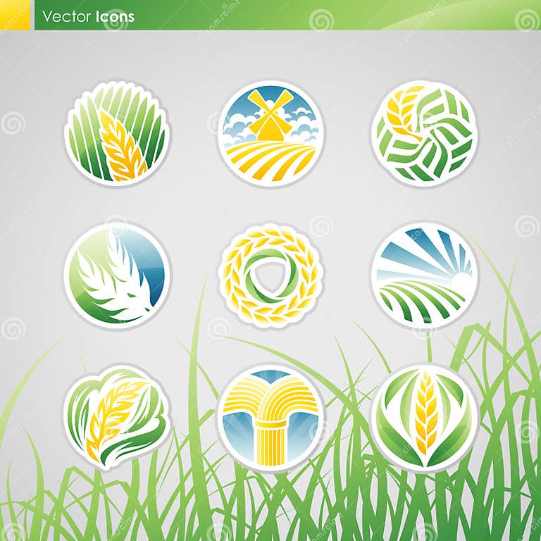 Wheat and Rye. Vector Logo Template Set Stock Vector - Illustration of ...