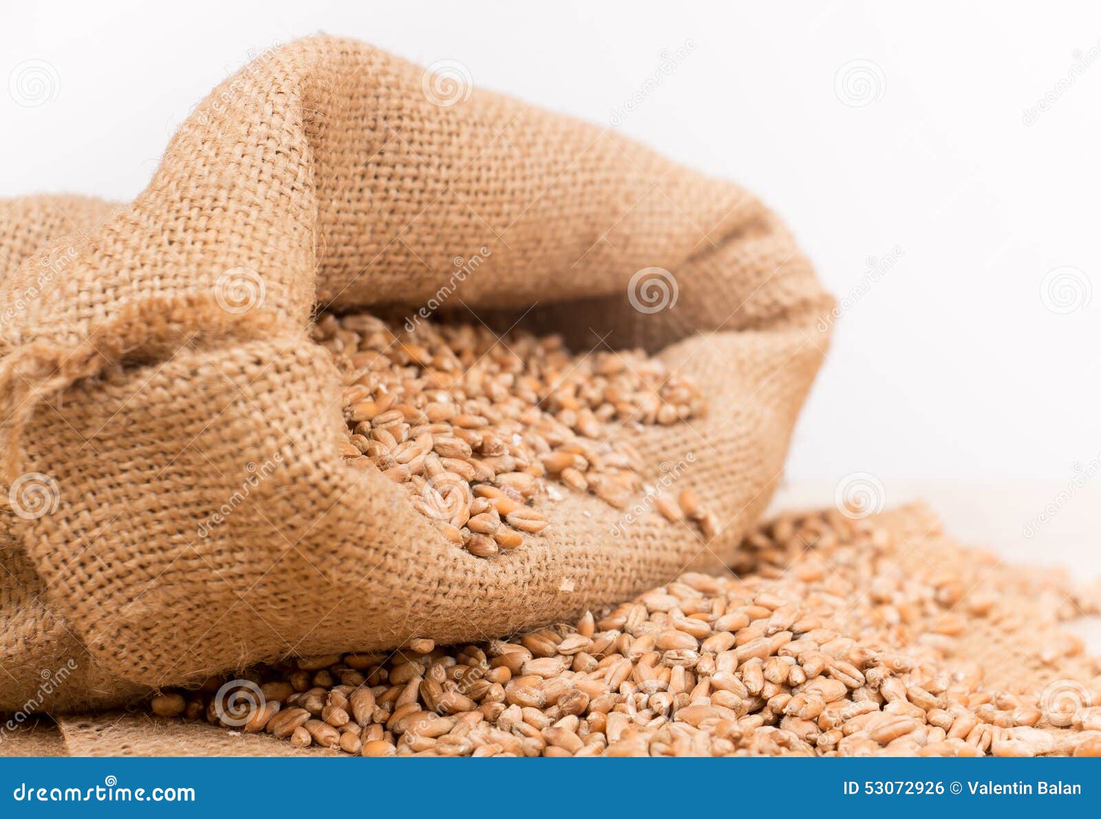 Wheat in a sack stock photo. Image of cereal, crop, food - 53072926