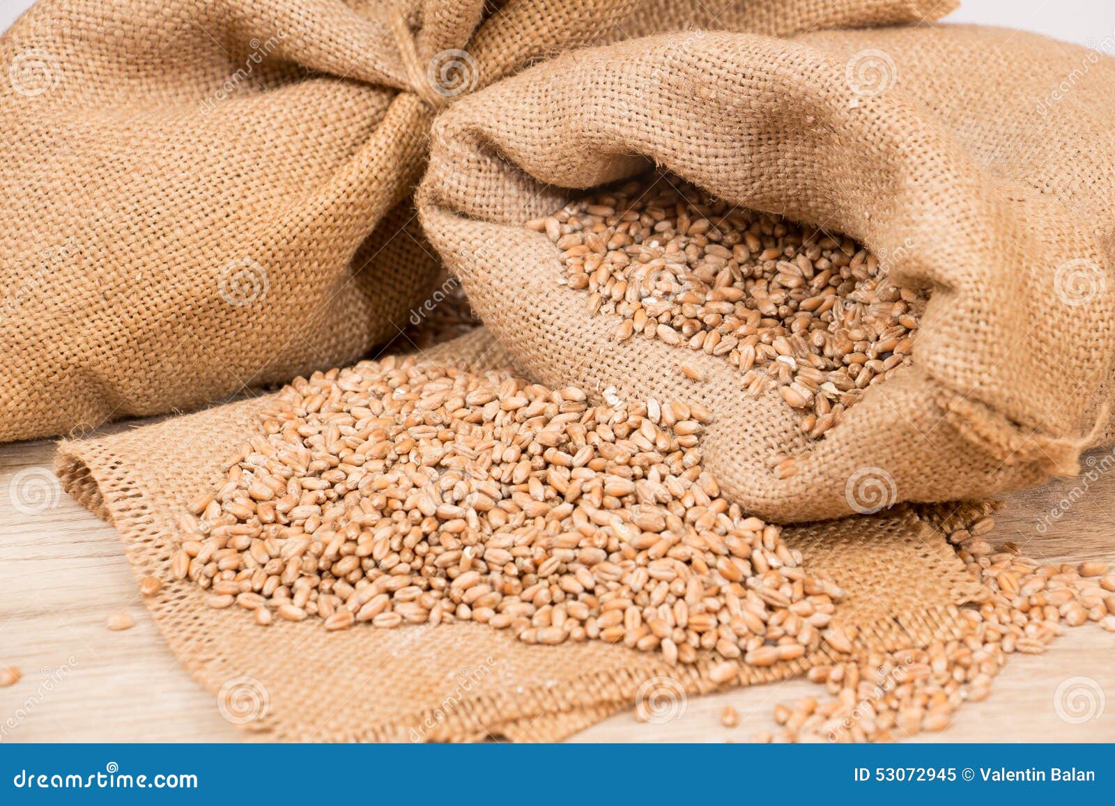 Wheat in a sack stock image. Image of spoon, ripe, food - 53072945