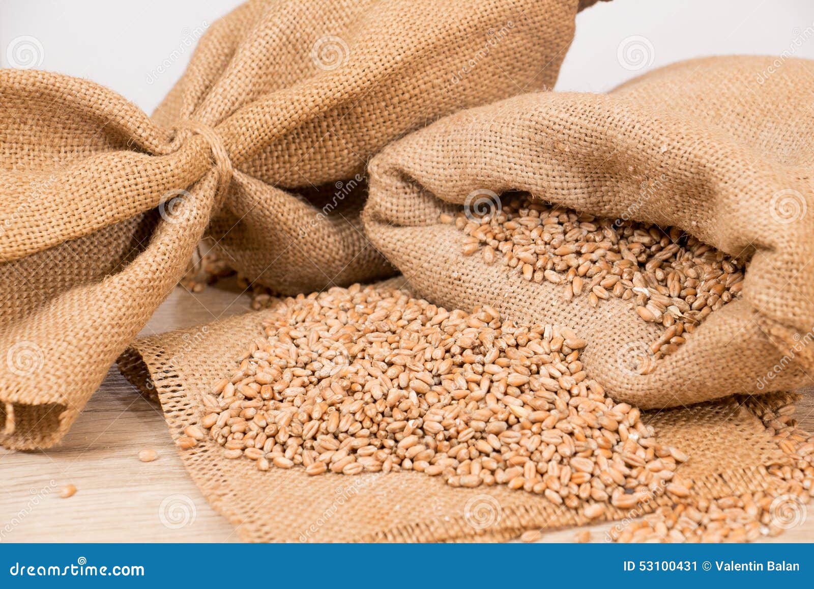 Wheat in a sack stock image. Image of industry, breads - 53100431