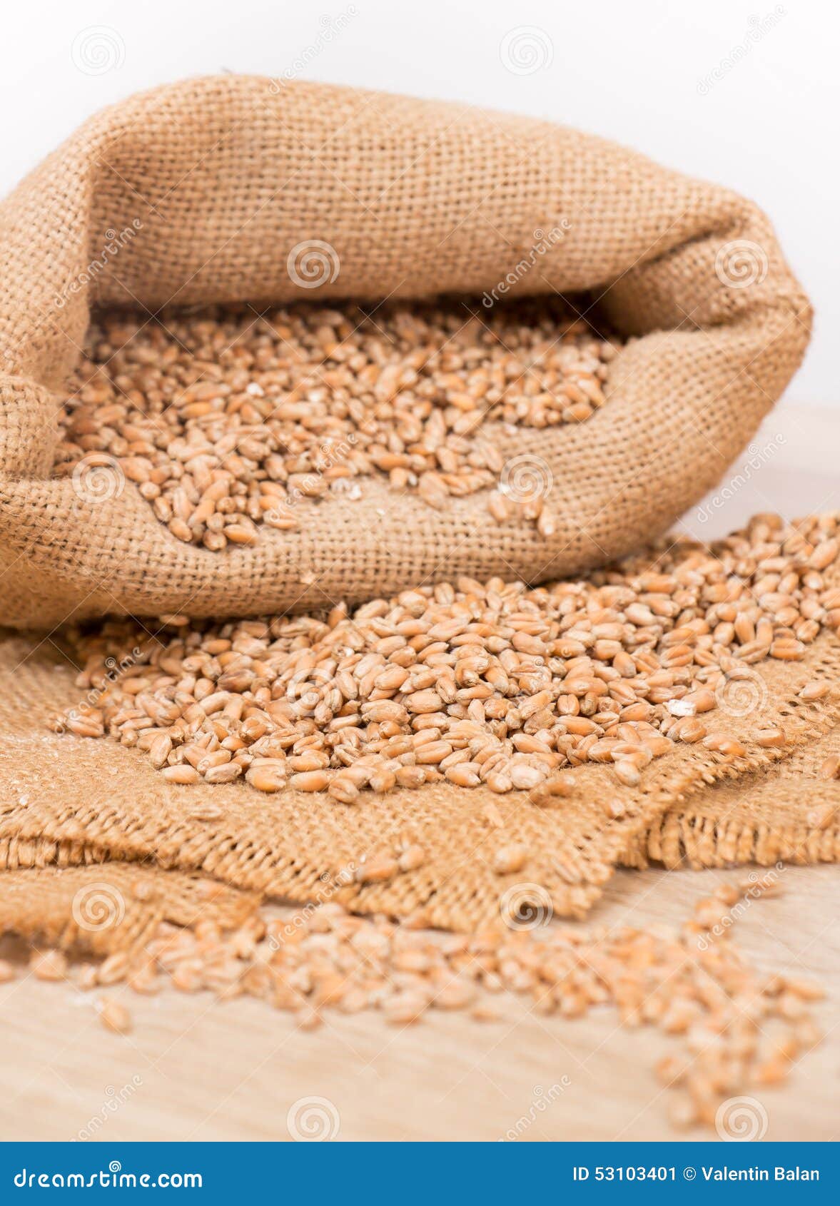 Wheat in a sack stock image. Image of food, grain, group - 53103401