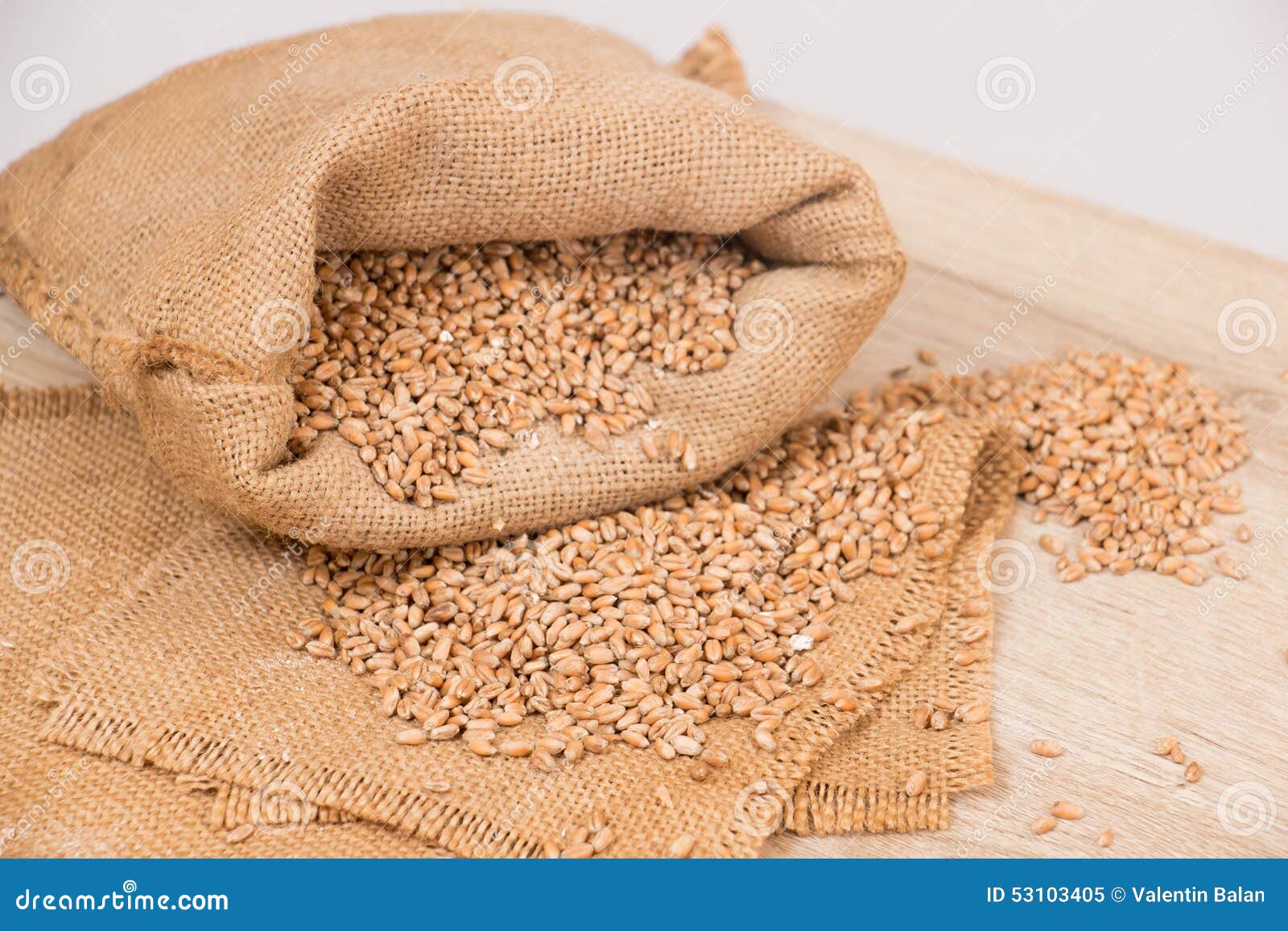 Wheat in a sack stock image. Image of organic, vegetable - 53103405