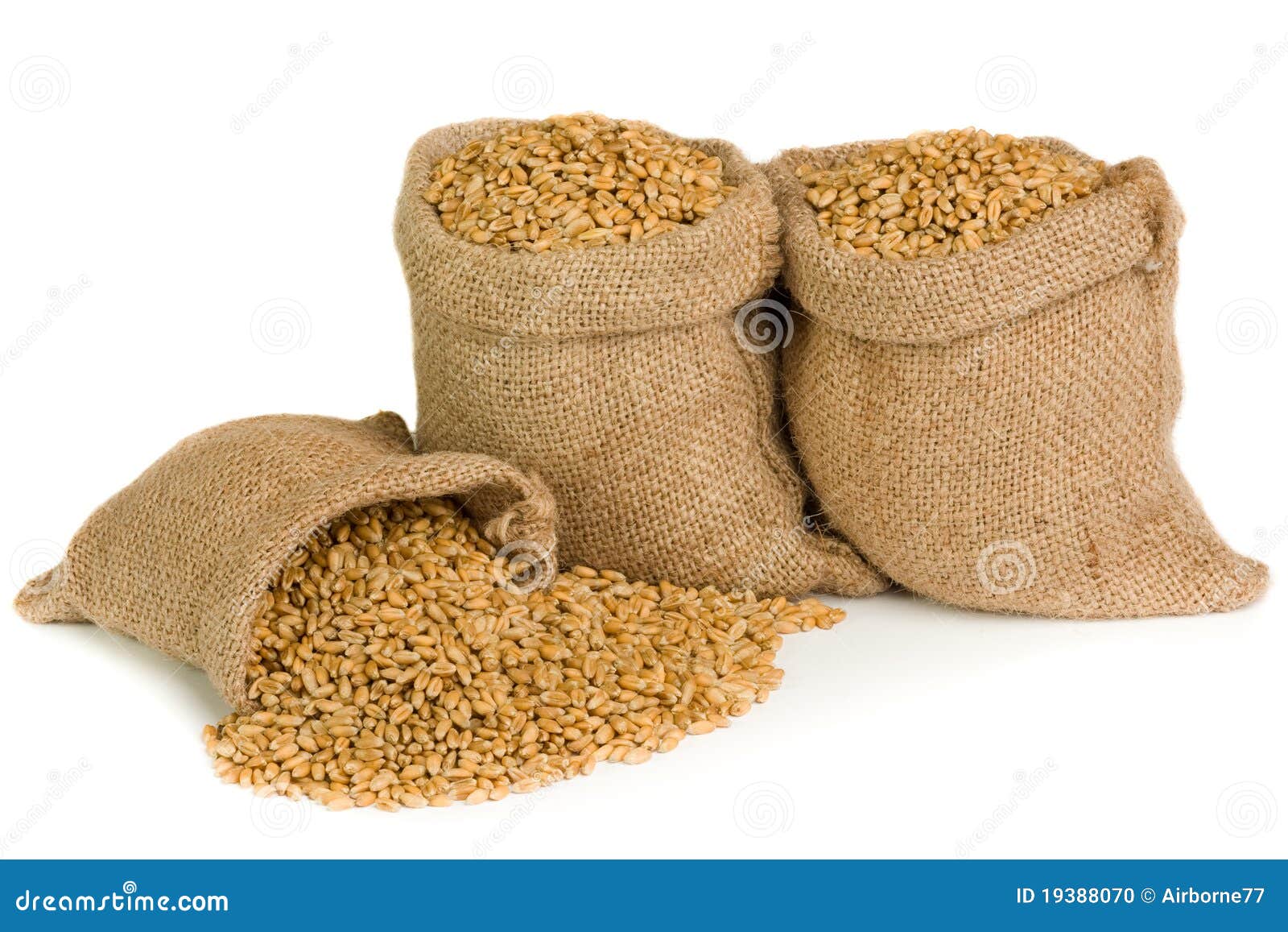 Wheat seed stock photo. Image of isolated, crop, color - 19388070