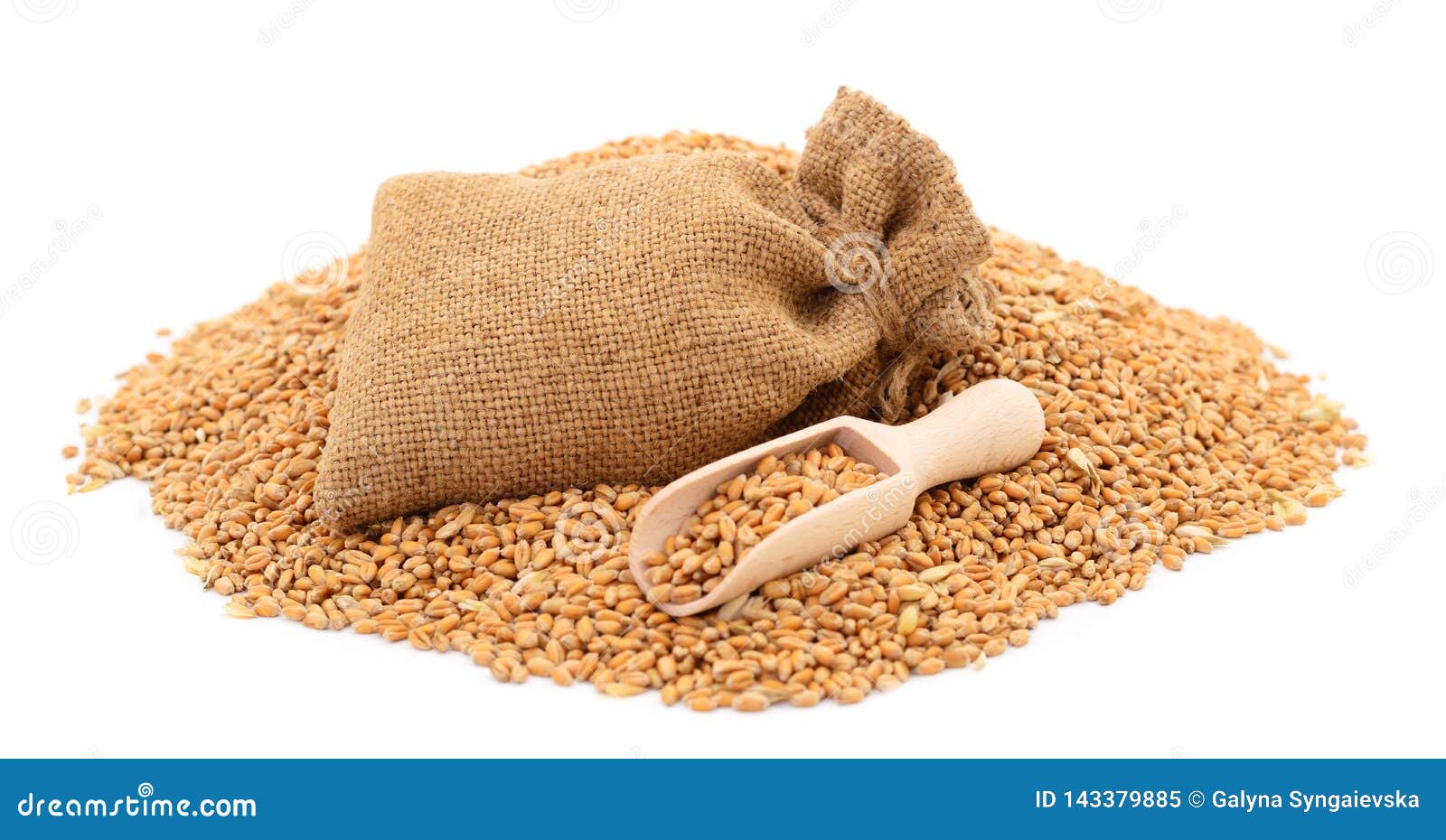 Wheat Seeds in Bag and Scoop Stock Image - Image of grain, heap: 143379885