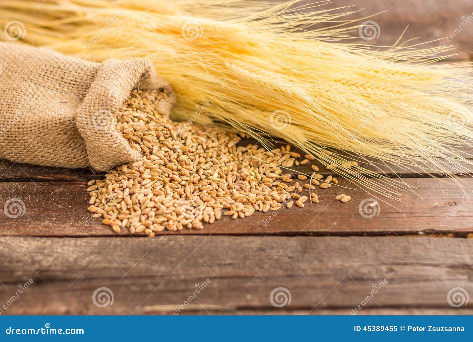 Wheat seeds stock image. Image of cereal, organic, brown - 45389455