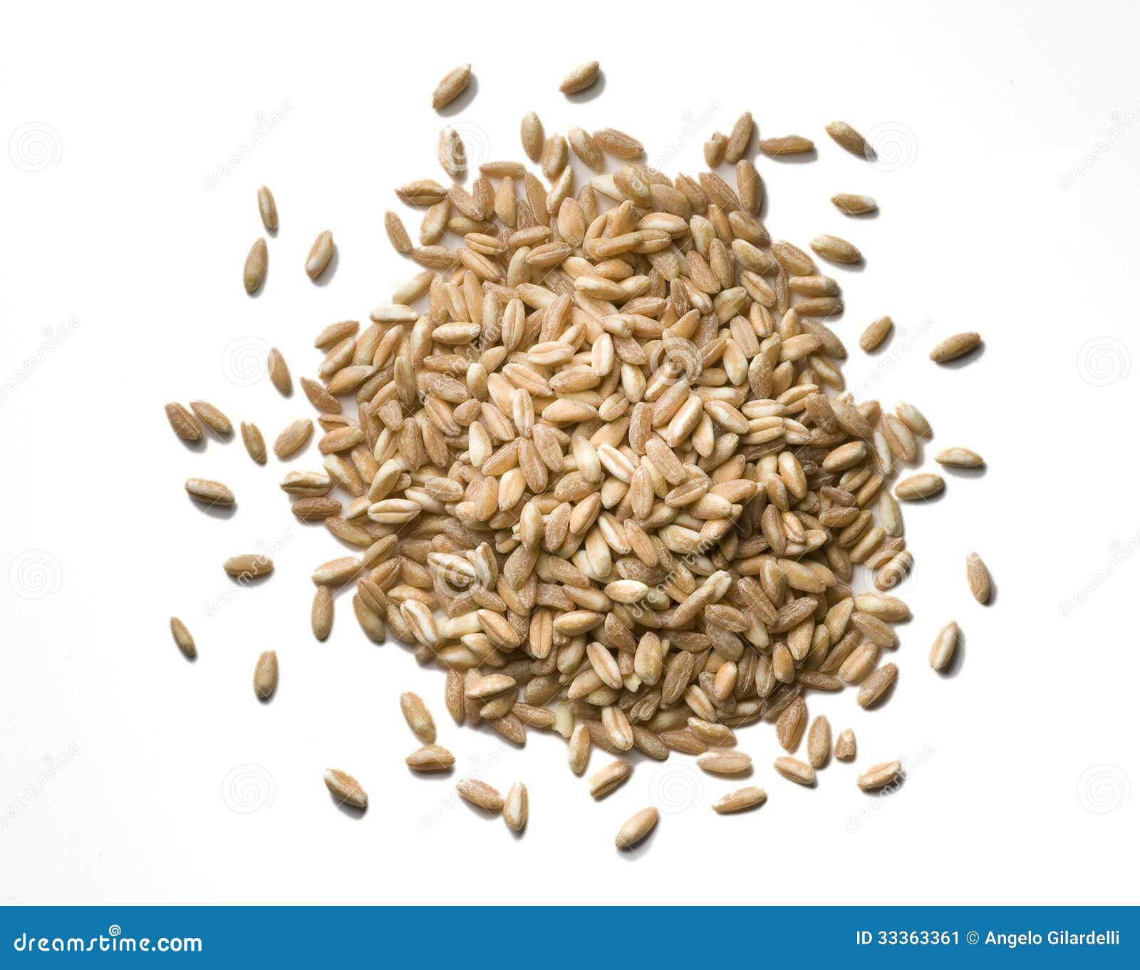 Wheat seeds stock image. Image of white, wheat, food - 33363361