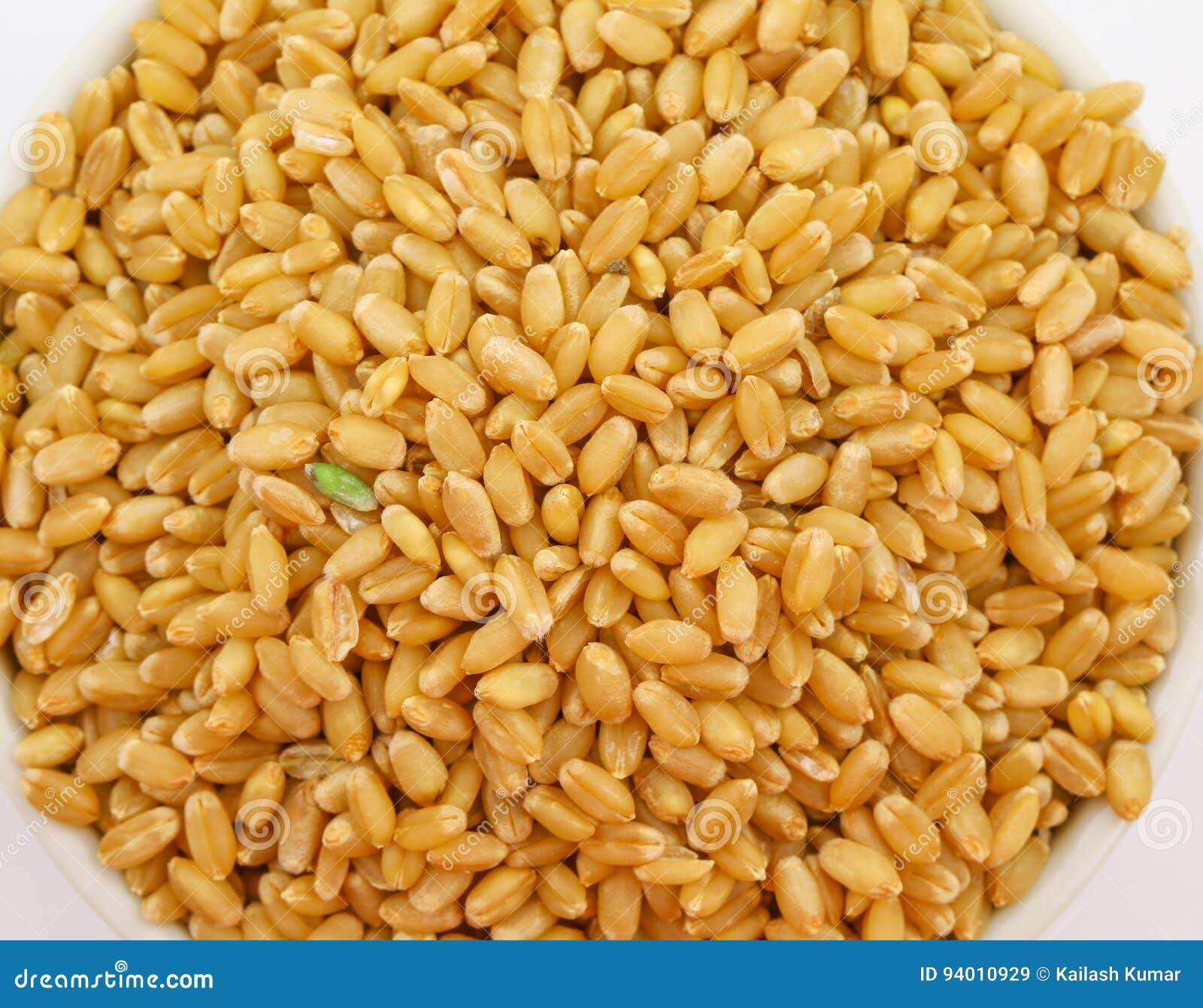 Wheat seeds stock image. Image of dana, control, indian - 94010929