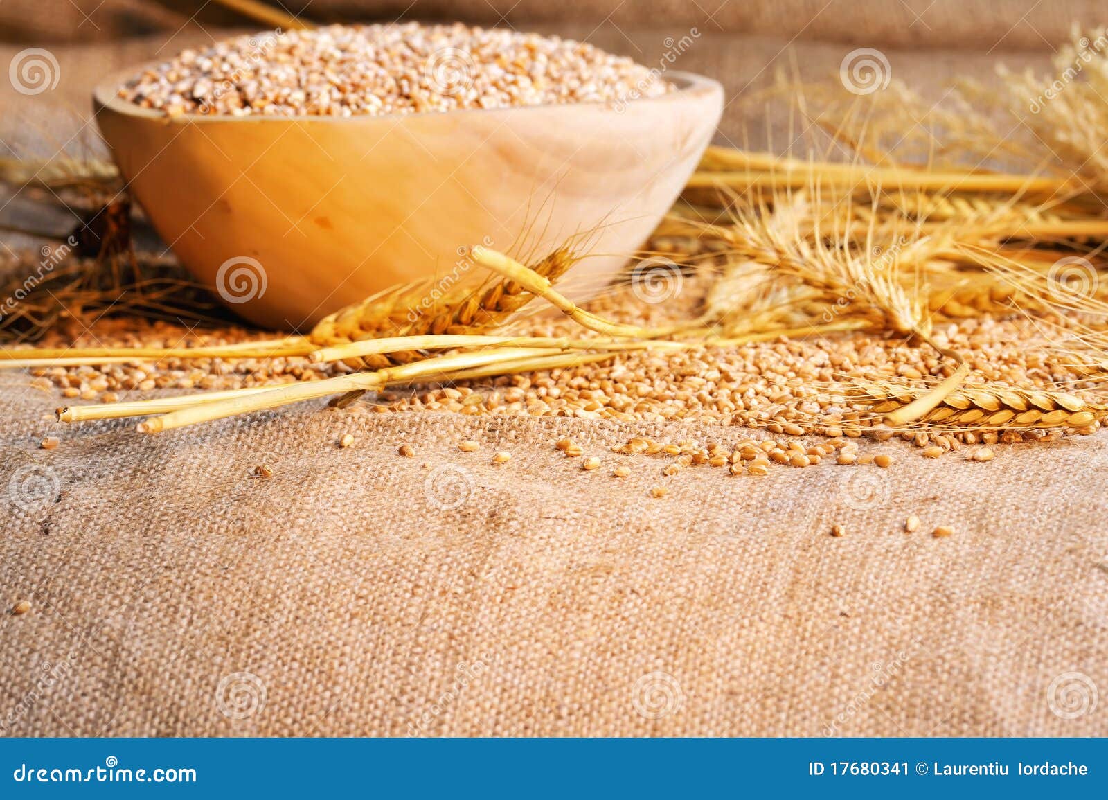 Wheat Seeds on Rough Material Stock Image - Image of outdoors, brewery ...