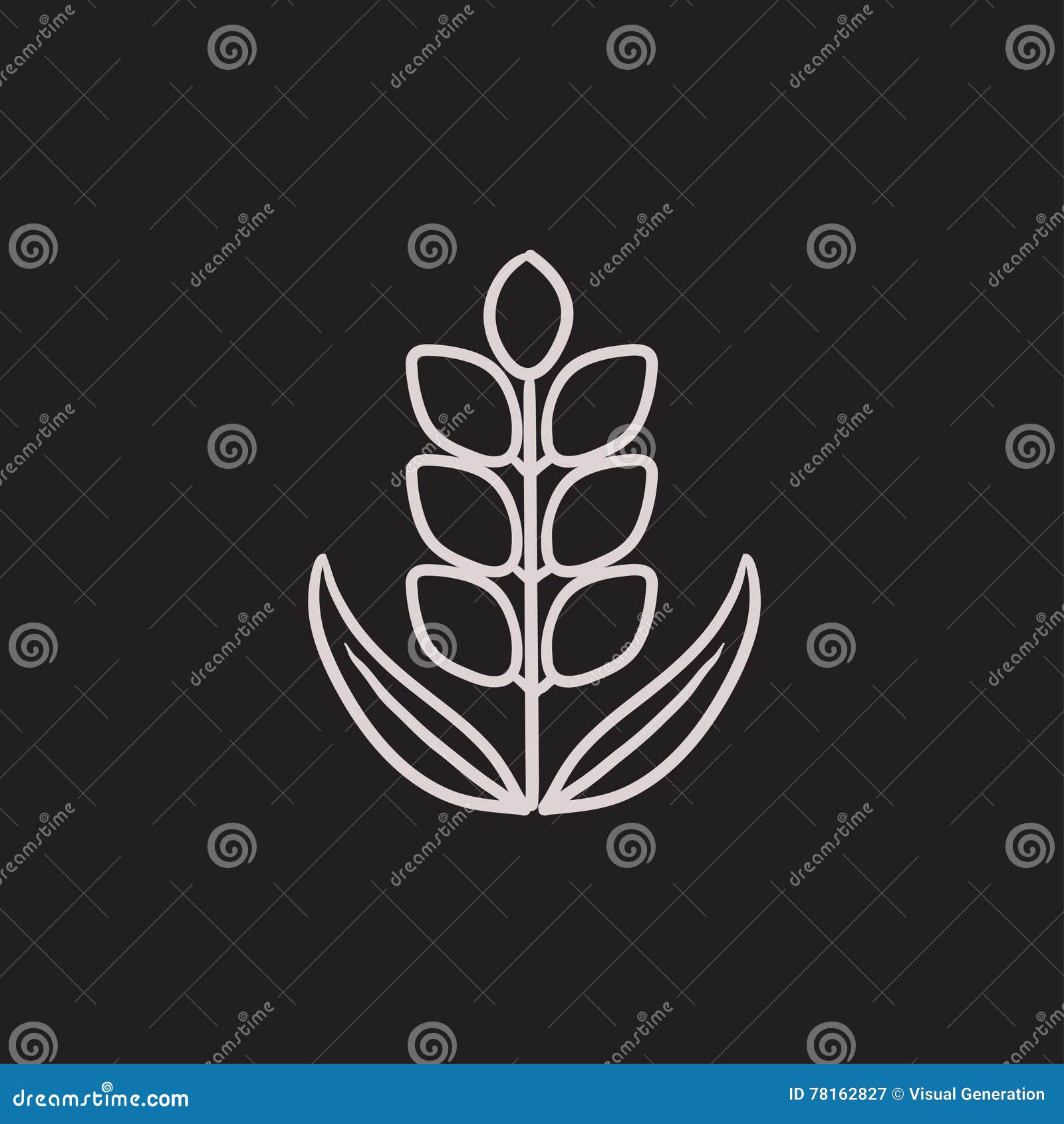 Wheat sketch icon. stock vector. Illustration of farm - 78162827