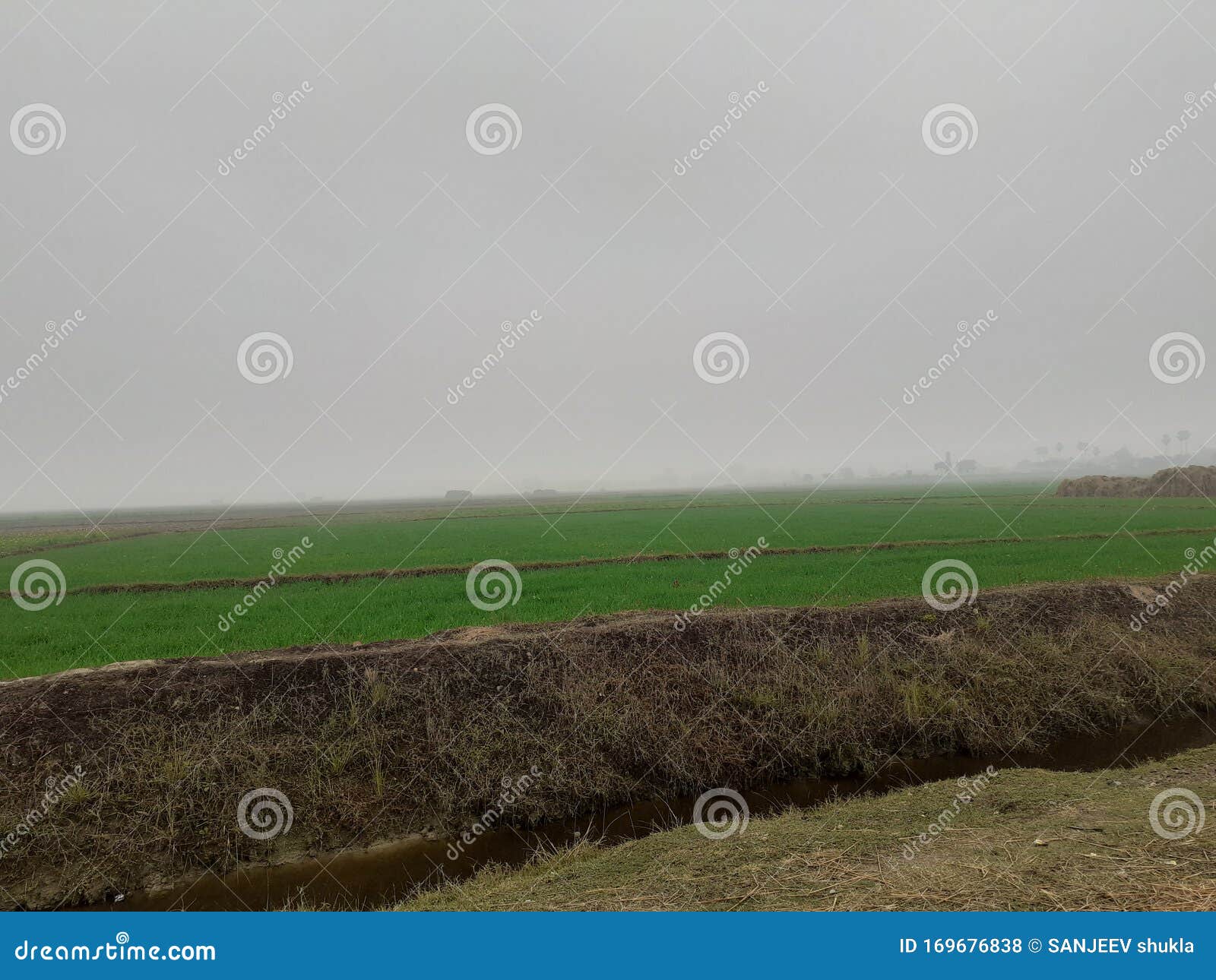 Wheat Sowing Area so Nice Pic Stock Photo - Image of wheat, sowing ...