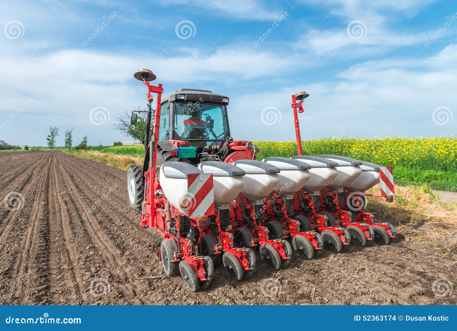 Wheat sowing stock photo. Image of agricultural, arable - 52363174