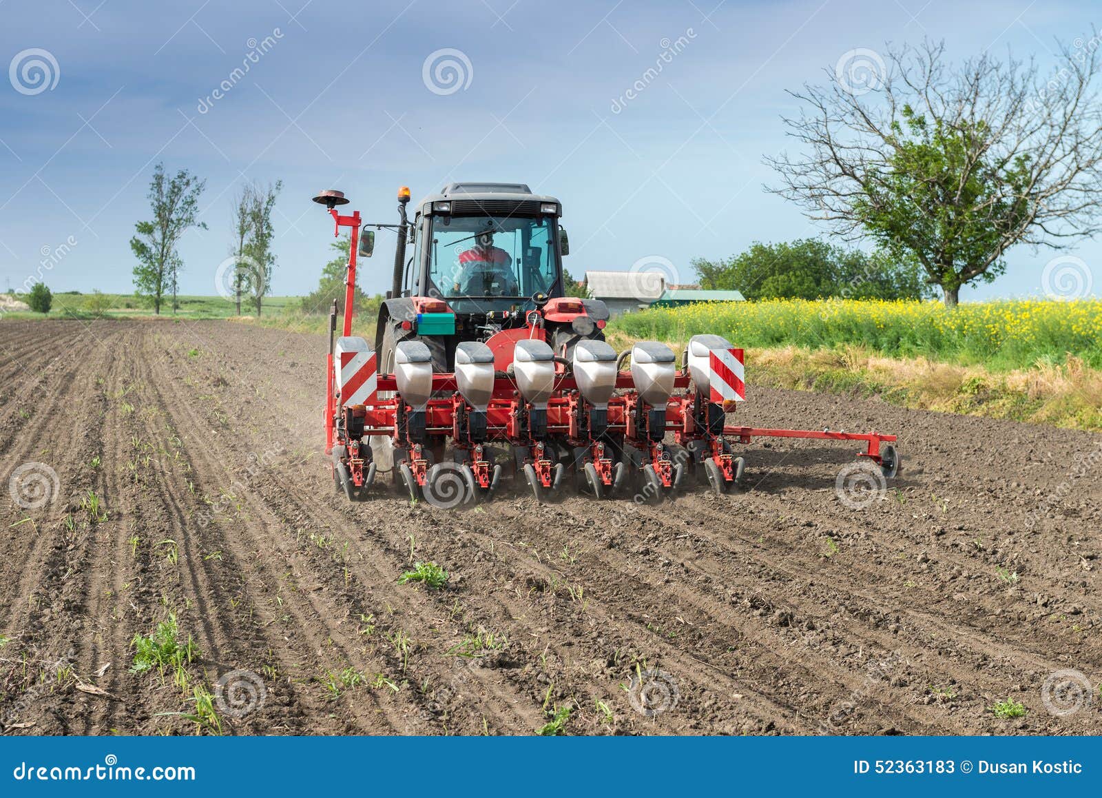 Wheat sowing stock image. Image of field, preparation - 52363183