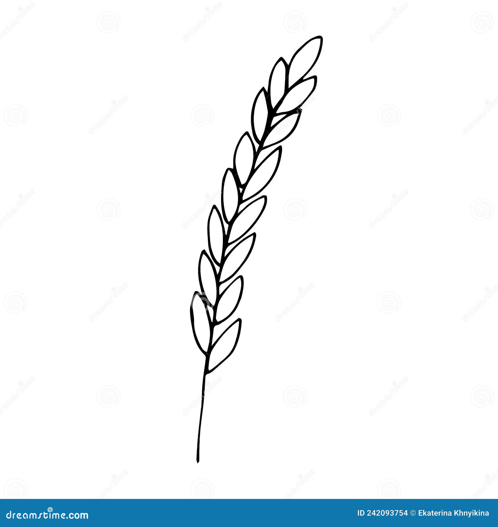 Wheat Spike Vector Illustration, Hand Drawing Doodle Stock Vector ...