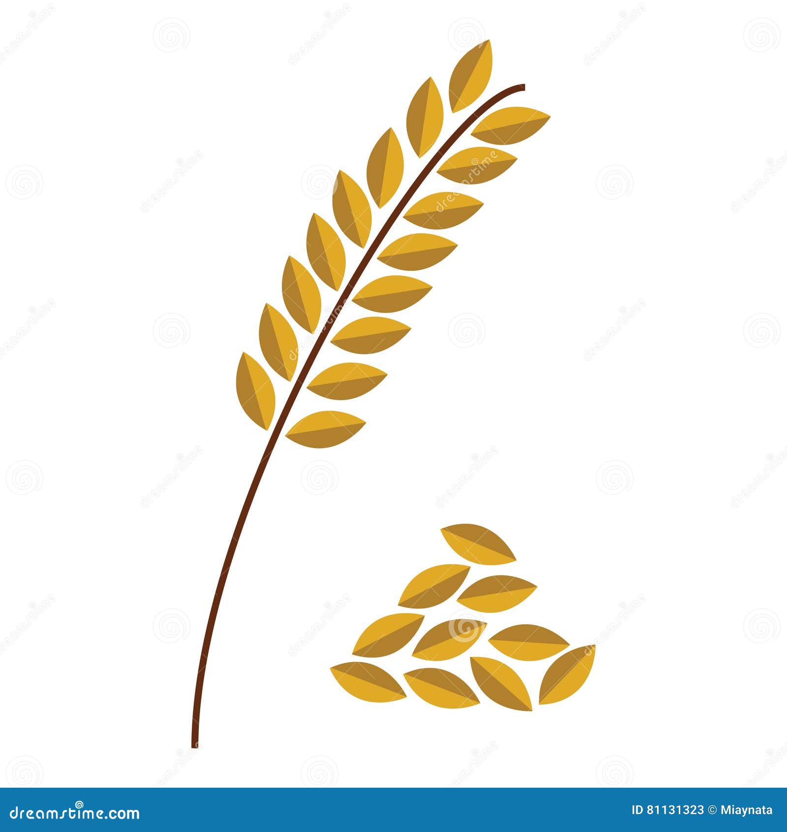 The Wheat Spike Icon. An Ear Is A Kind Of Inflorescence Of Angiosperms ...