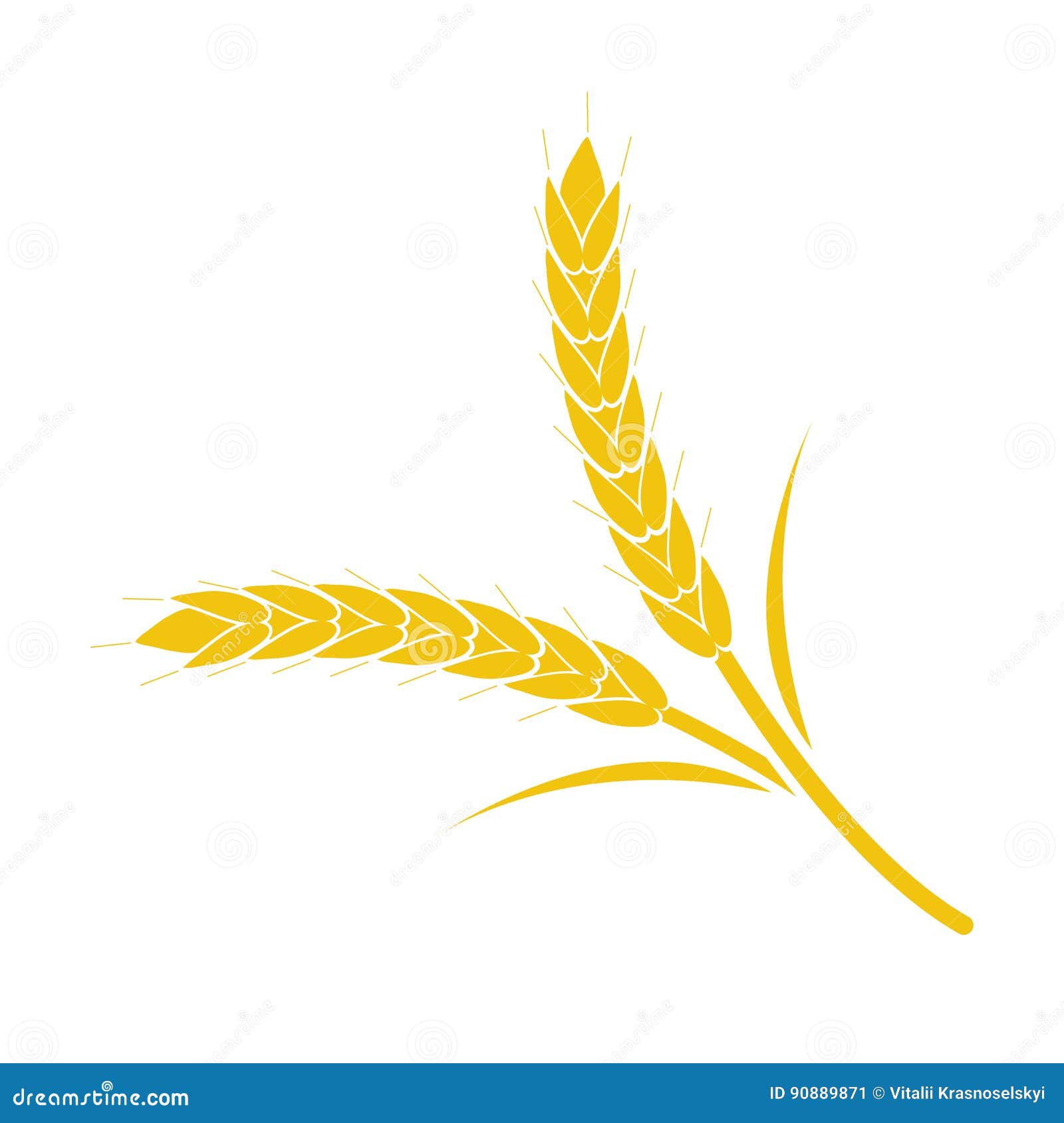 Wheat Spike Isolated On White Background. Grain Plant Silhouette. Spica ...