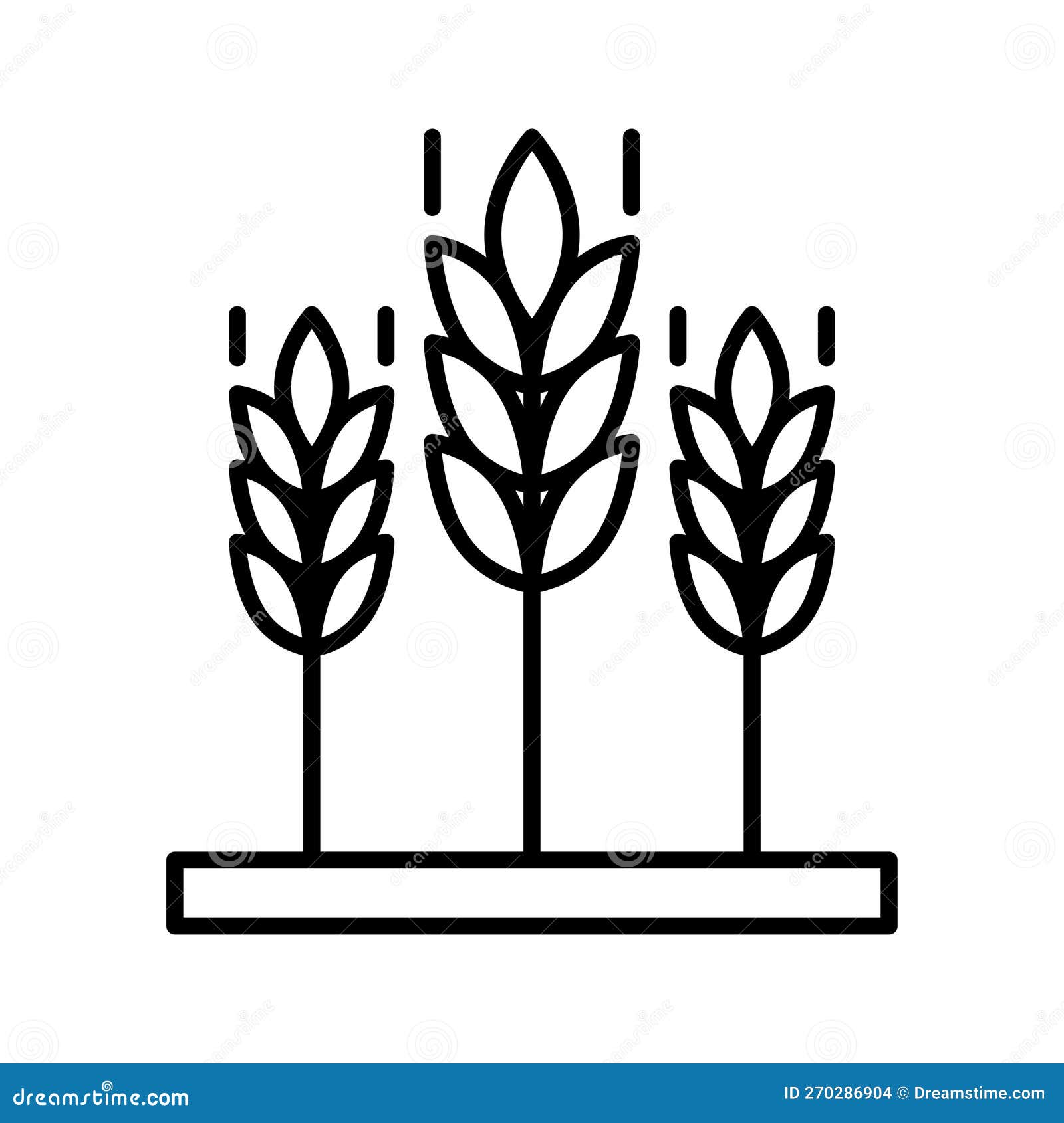 Wheat Spikelets Icon. Pictogram Isolated on White Background Stock ...