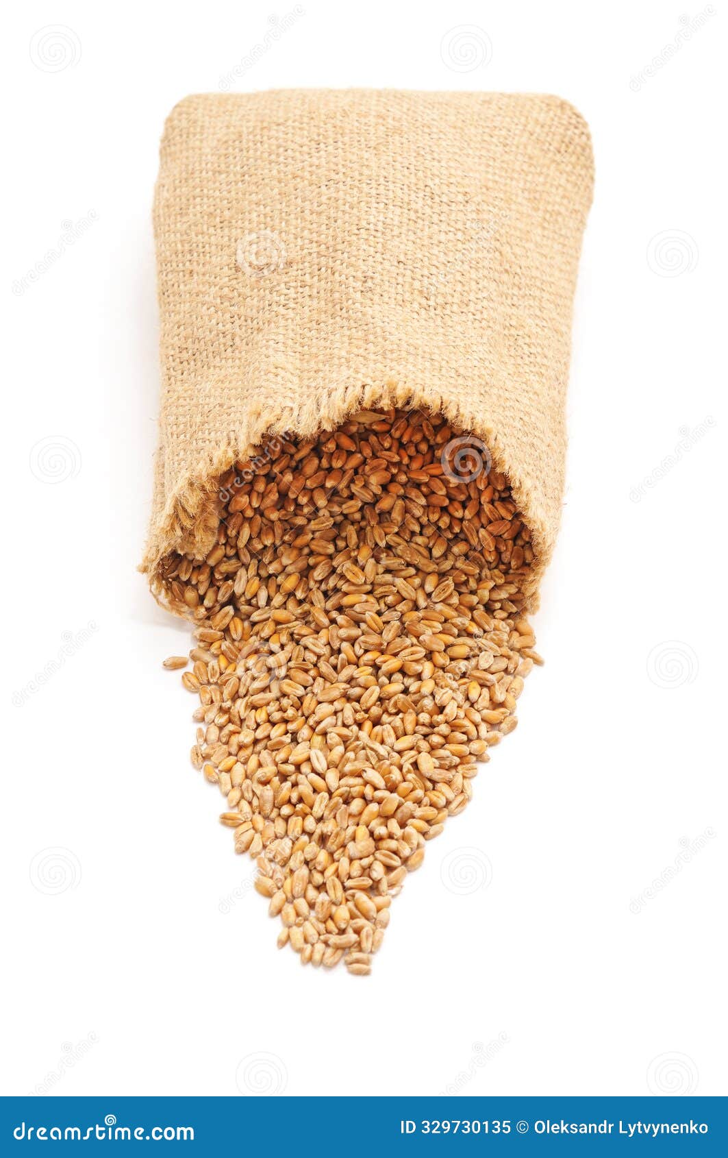 Wheat is Spilled Out of the Sack Stock Image - Image of wheat, bread ...