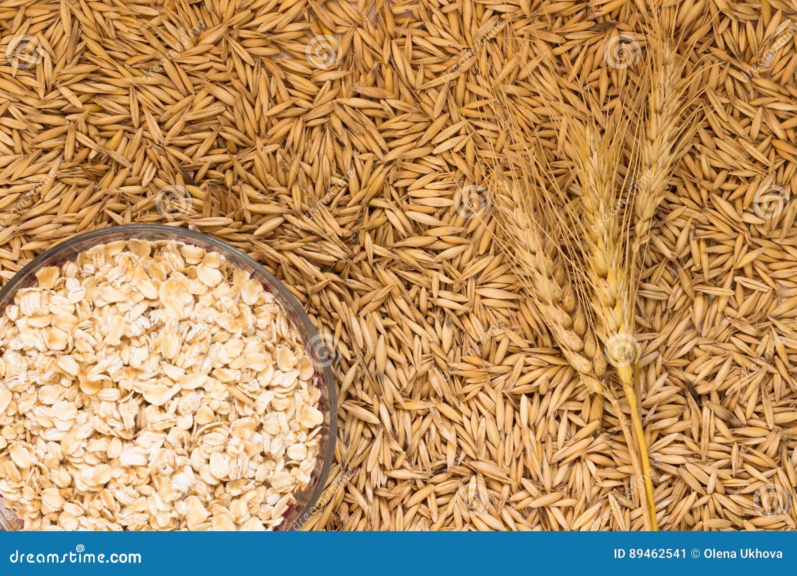 Wheat; Sprig Wheat and Ground Oats Stock Image - Image of field, ripe ...