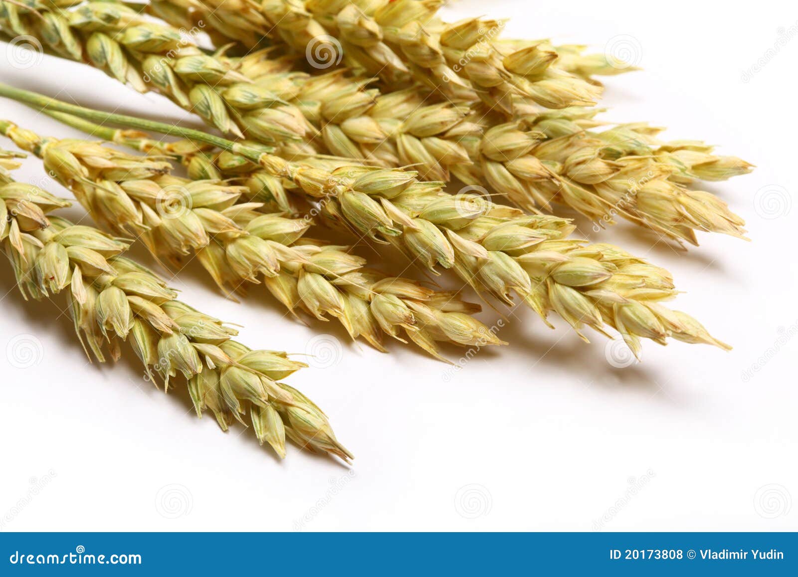 Wheat stack stock photo. Image of agriculture, cereal - 20173808