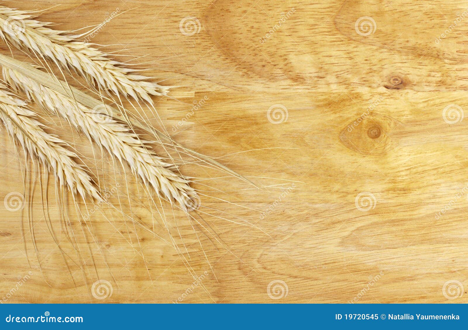 Wheat stems stock image. Image of agriculture, grass - 19720545
