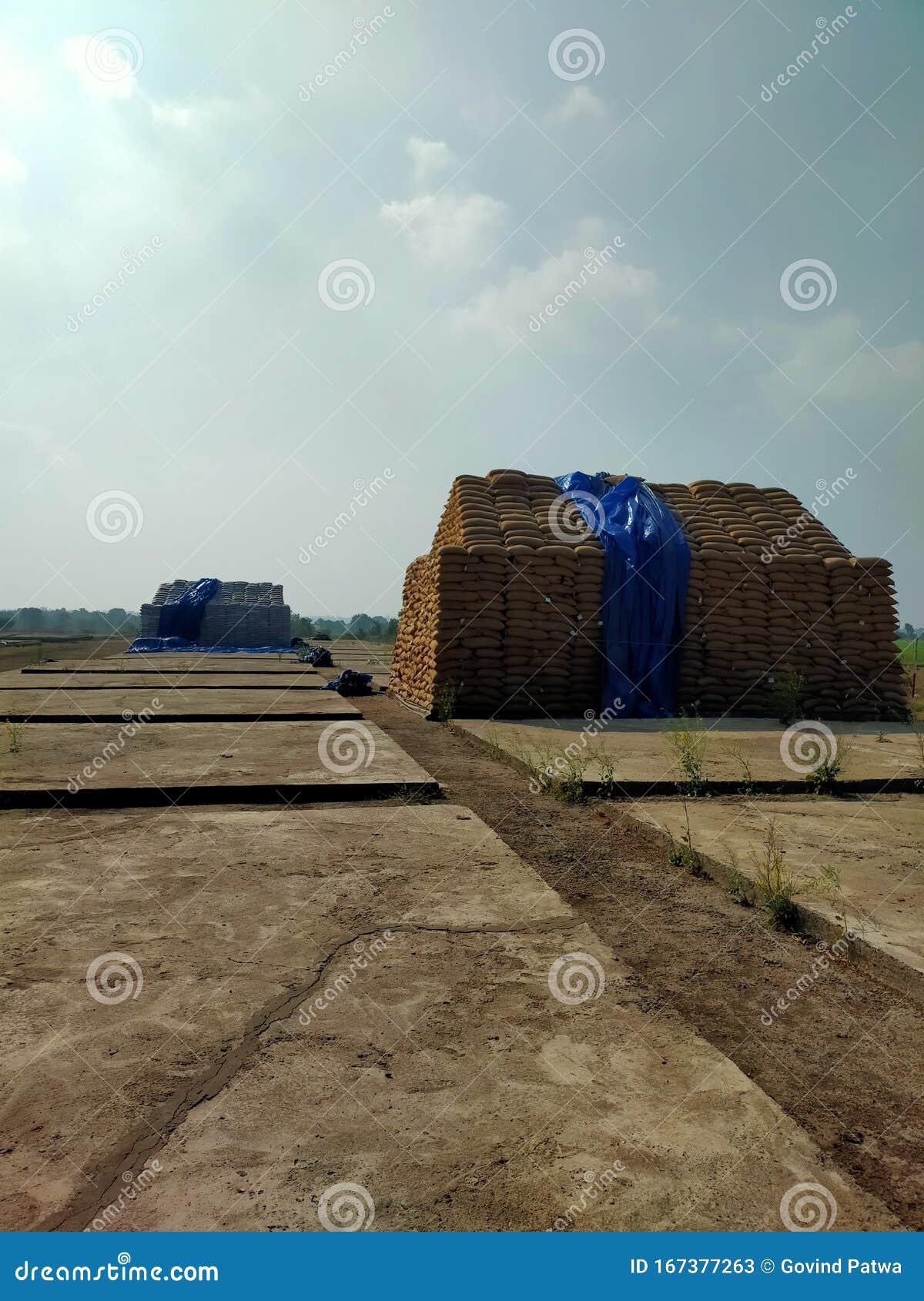 Wheat Storage Open Stacking, M.p Stock Image - Image of storage ...