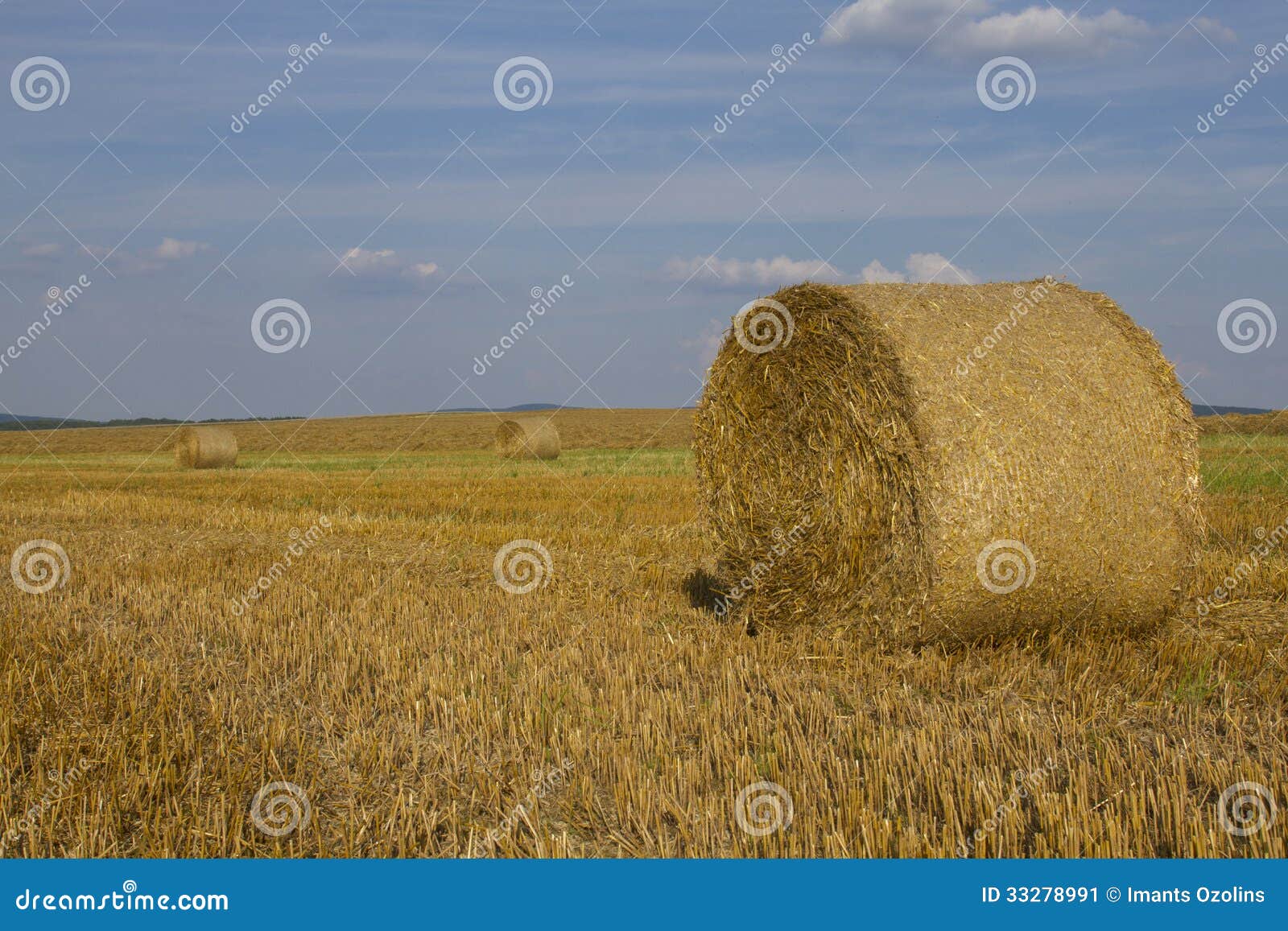 Wheat Straw Pile Texture. Stock Image | CartoonDealer.com #98784271
