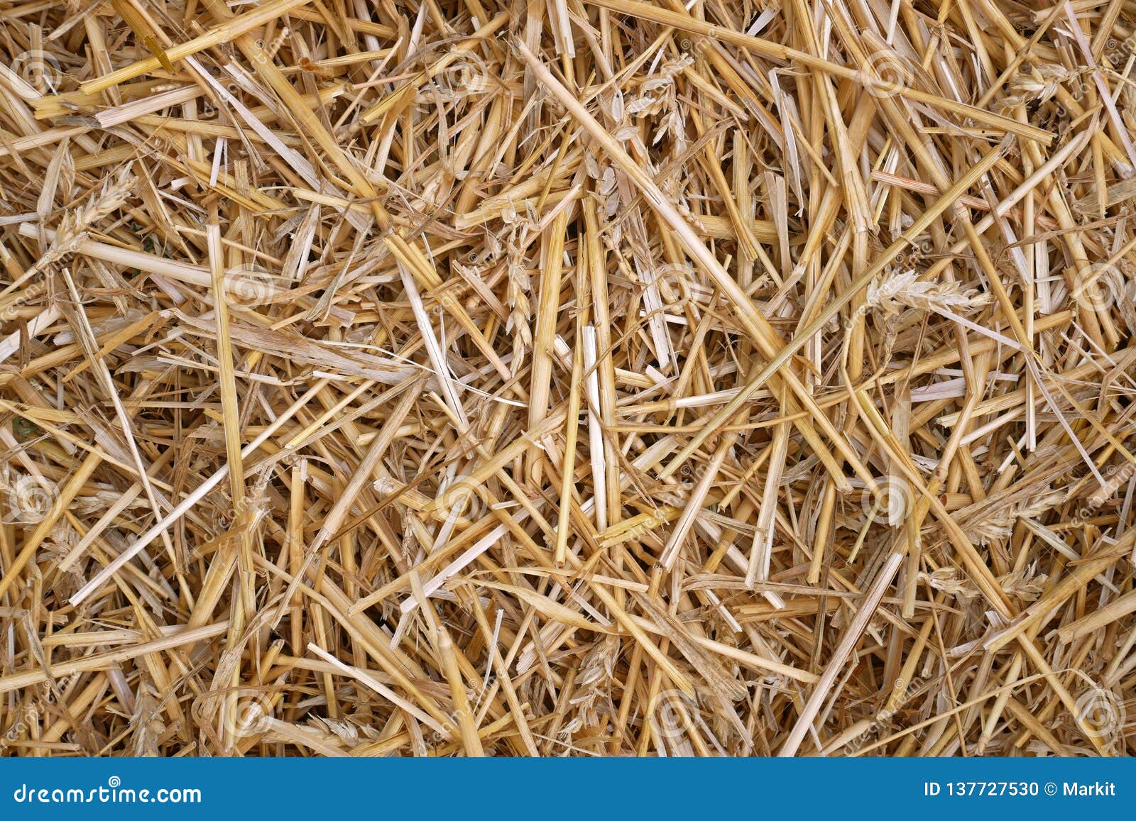 Wheat Straw Pile Background Stock Photo - Image of harvest ...