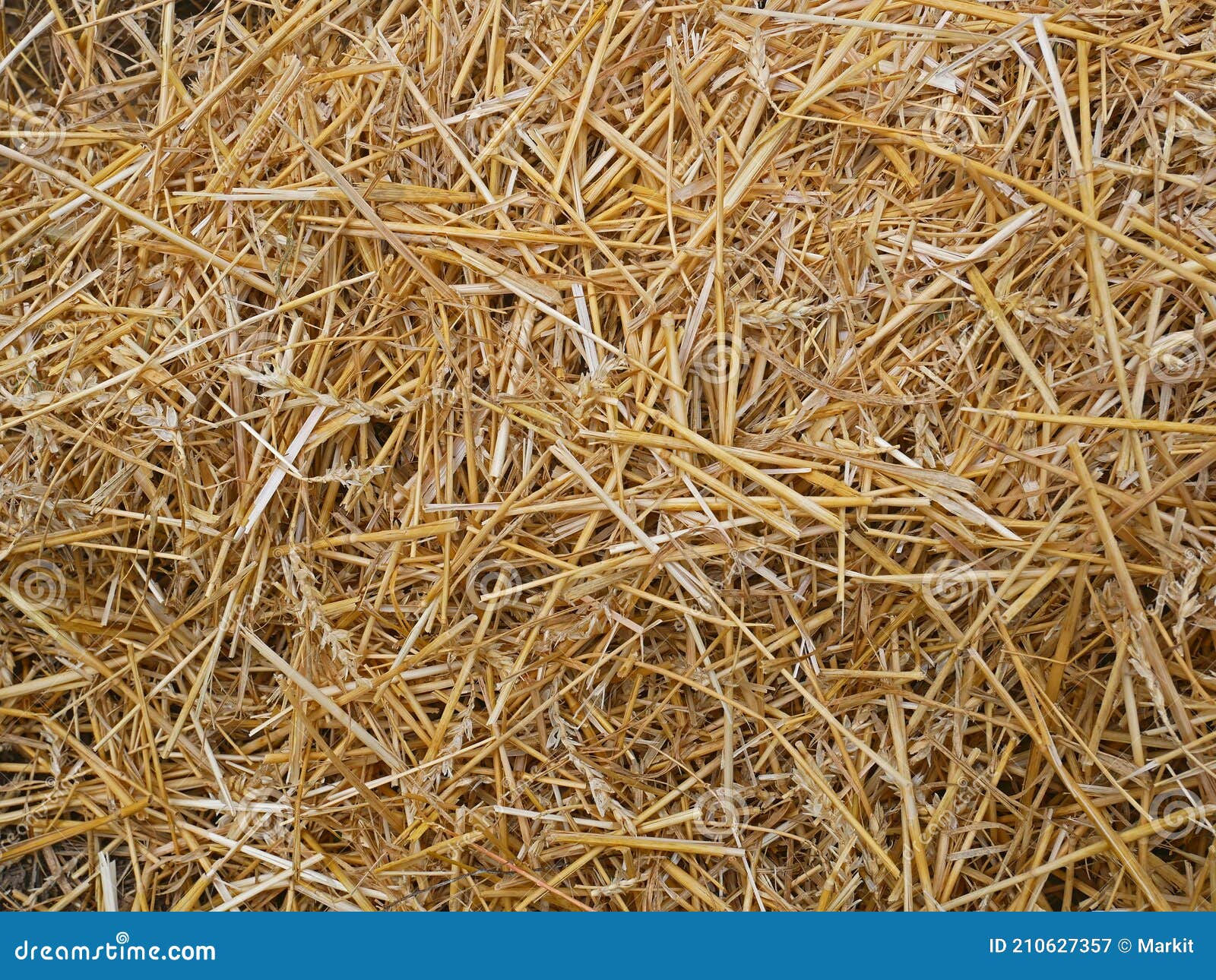 Straw Pile, Lined With A Layer. See Detailed Connections Clear. Stock ...