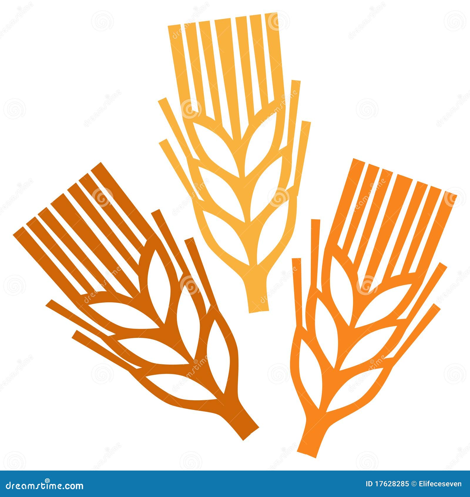 Whole Wheat Symbol Images at Lucy French blog