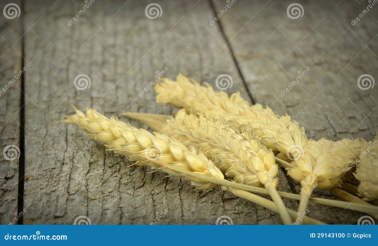 Wheat on table stock photo. Image of fresh, rustic, grain - 29143100