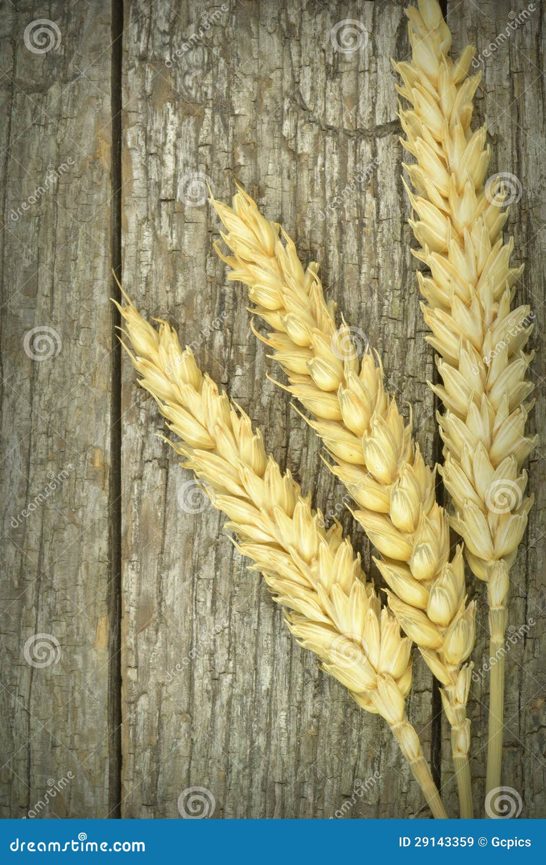 Wheat on table stock image. Image of portion, grain, food - 29143359